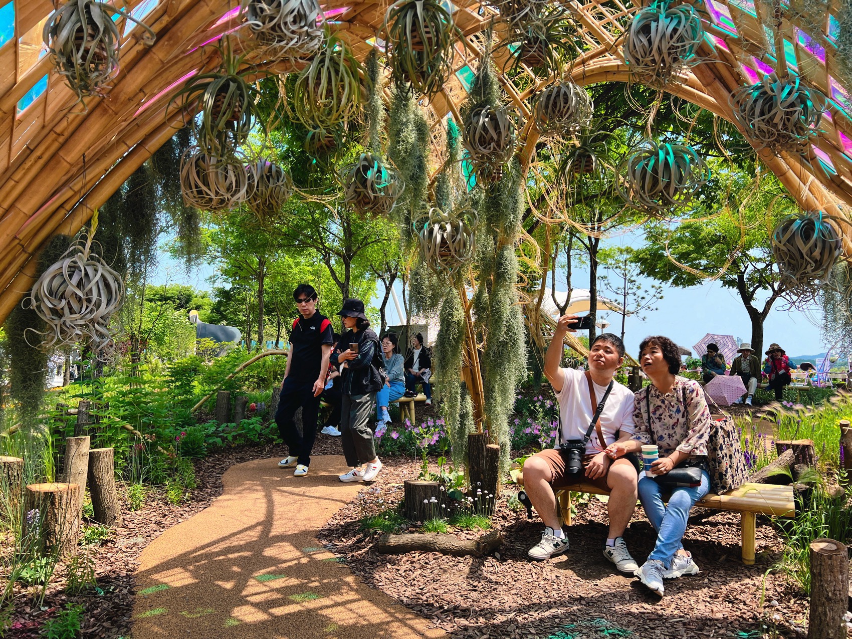 Seoul International Garden Show 2024 – Biological Self-organizing ...