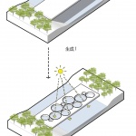 Chengdu Floating Park Bridge by China Southwest Architectural Design ...