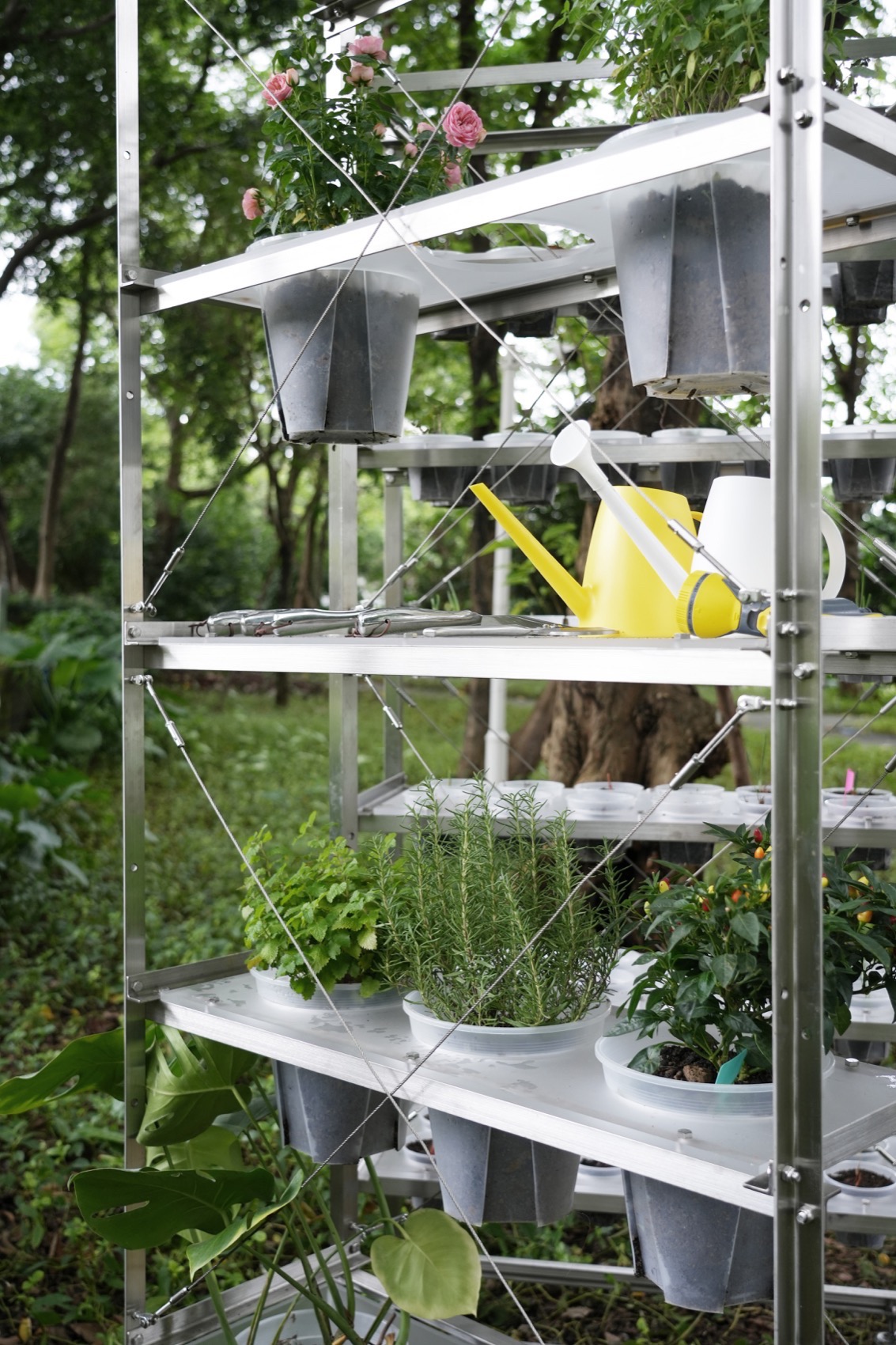 Your Greenhouse Is Your Kitchen by Office for Roundtable and JXY Studio - 谷德设计网