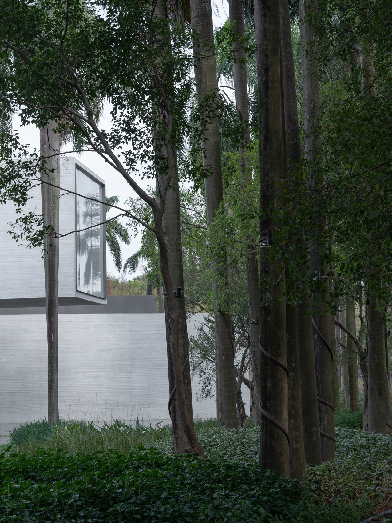 Shunde Yunlu Wetland Museum by Studio Link-Arc - 谷德设计网