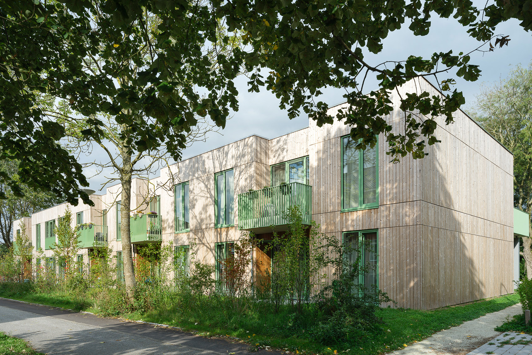 Moos Euterpe by Concrete Amsterdam - 谷德设计网