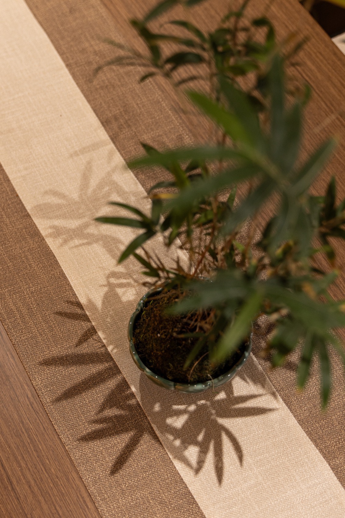 Wuxi Book Dream Studio by ETER Architecture Design - 谷德设计网