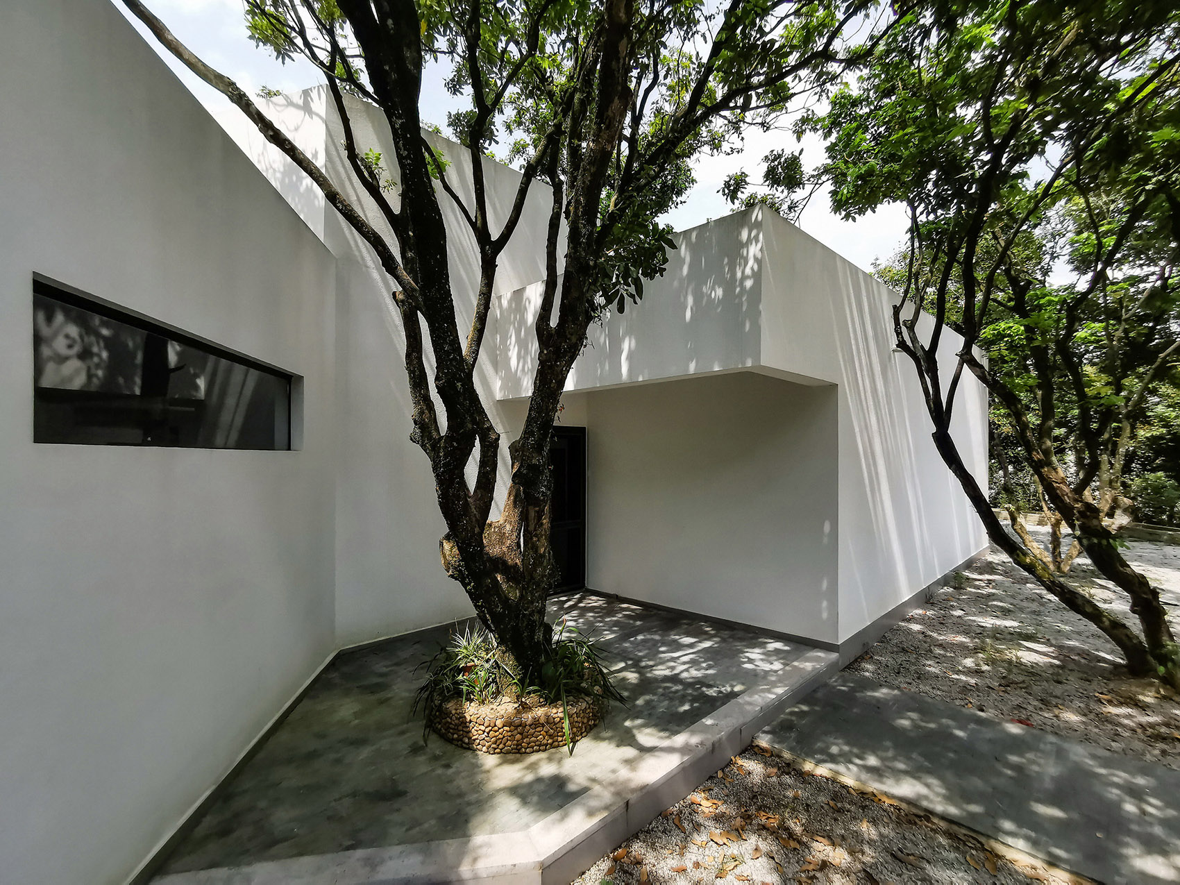 Courtyard under Longan Trees by SPACEWORK Architects - 谷德设计网