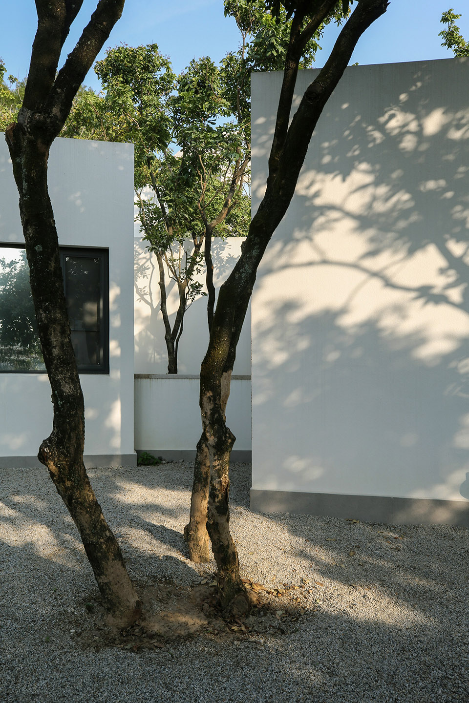 Courtyard under Longan Trees by SPACEWORK Architects - 谷德设计网