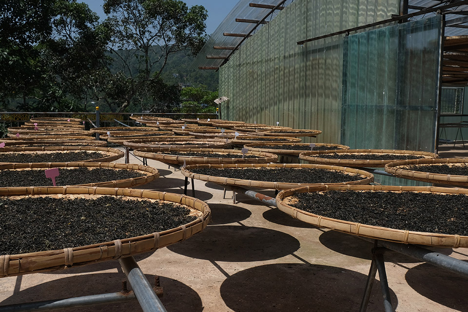 BONTEA Brand Experience Hub by Fon Studio - 谷德设计网