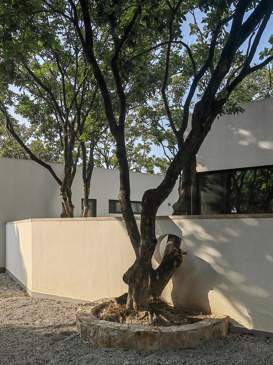 Courtyard under Longan Trees by SPACEWORK Architects - 谷德设计网