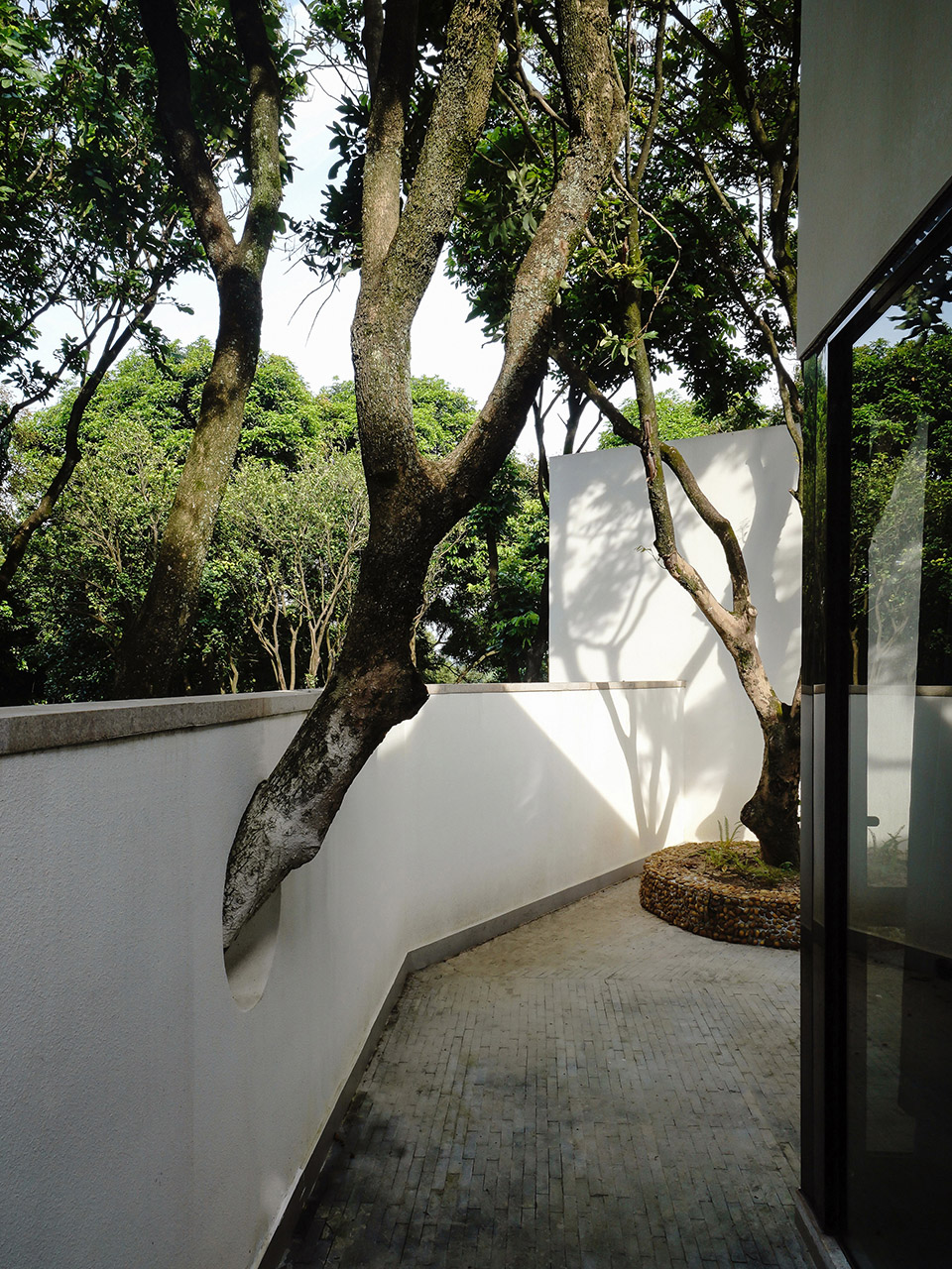 Courtyard under Longan Trees by SPACEWORK Architects - 谷德设计网