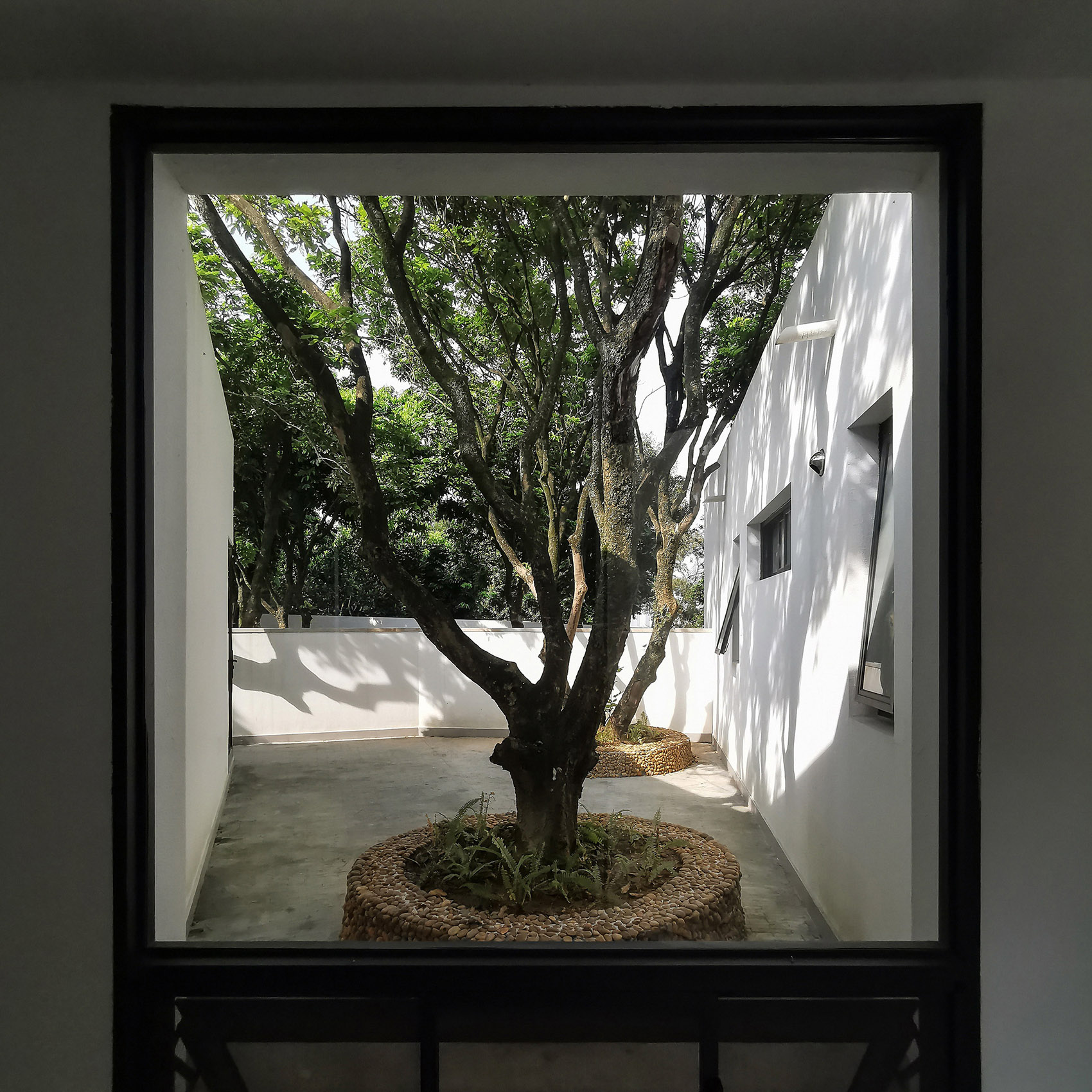 Courtyard under Longan Trees by SPACEWORK Architects - 谷德设计网