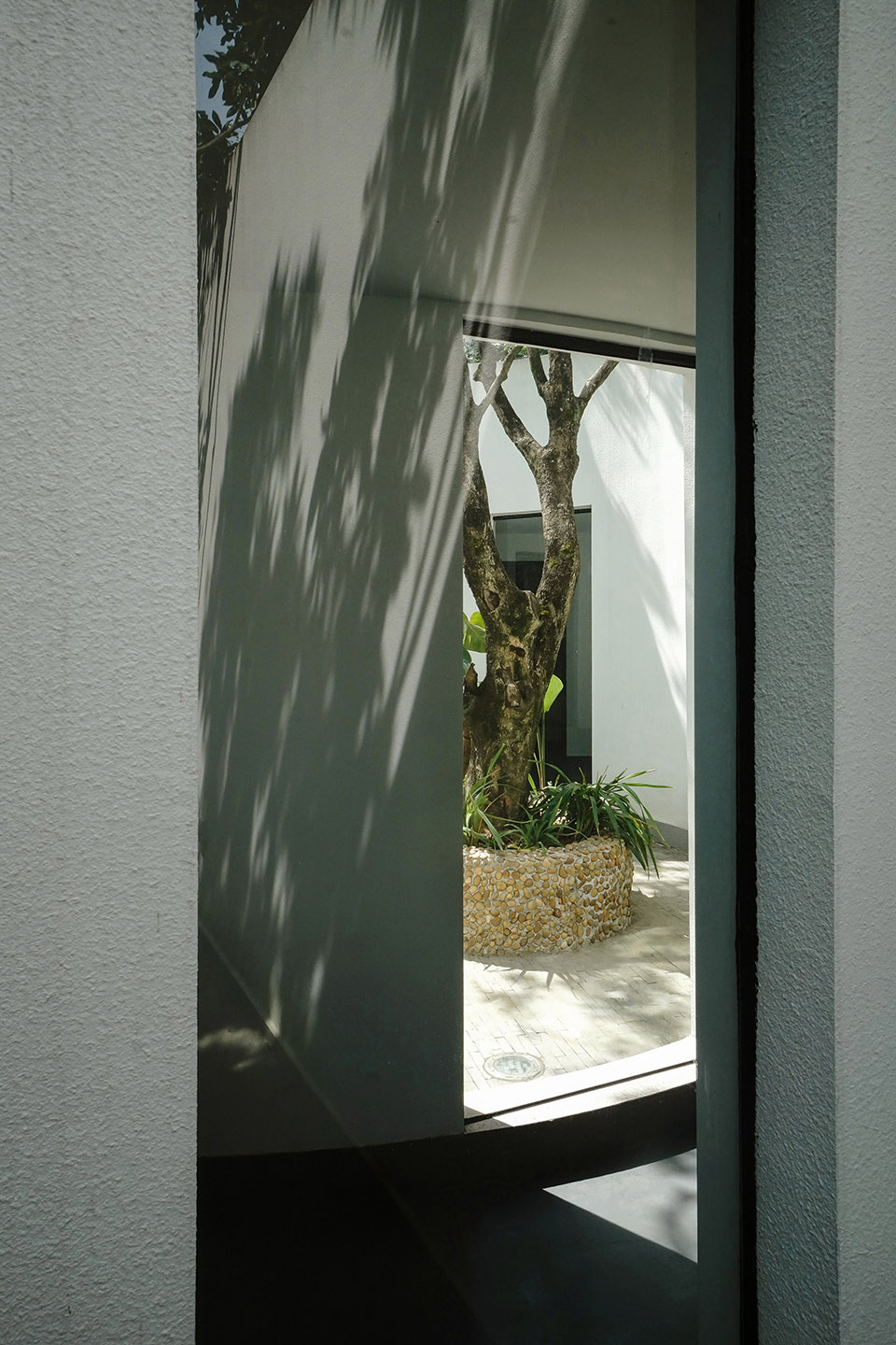 Courtyard under Longan Trees by SPACEWORK Architects - 谷德设计网
