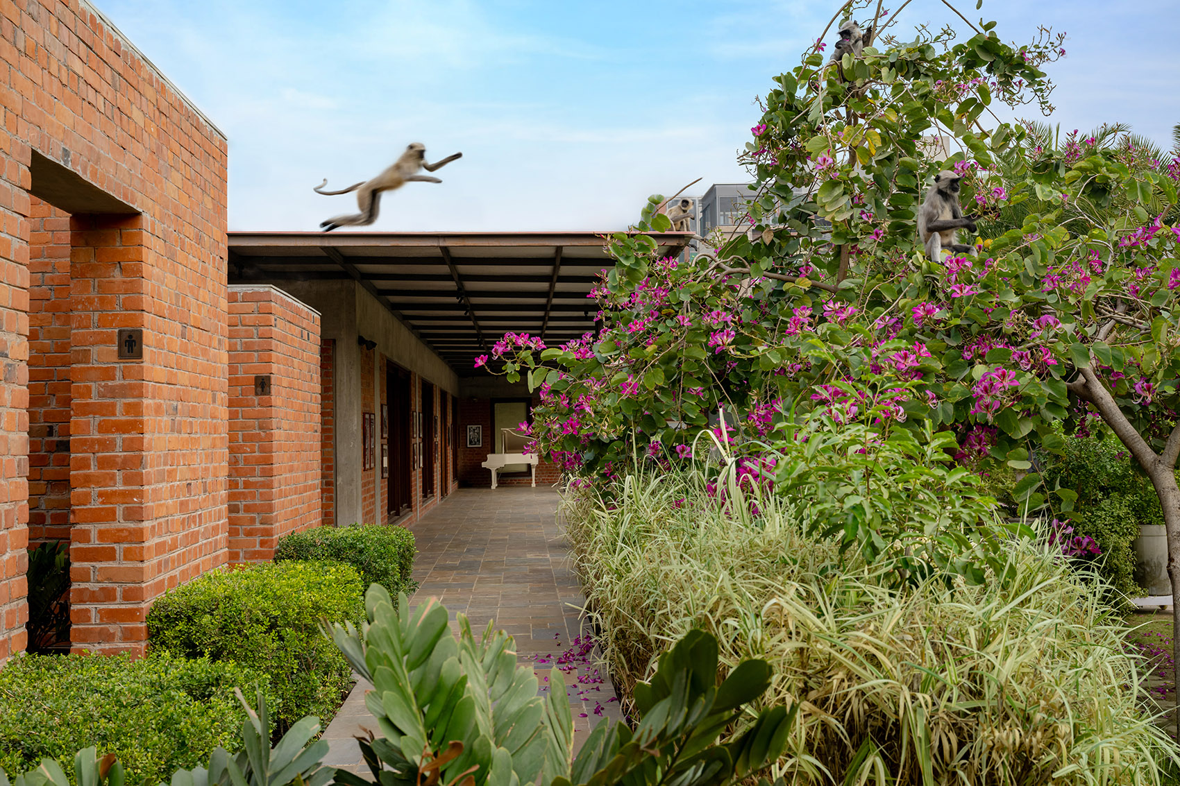 Under The Neem Tree restaurant by Hiren Patel Architects - 谷德设计网