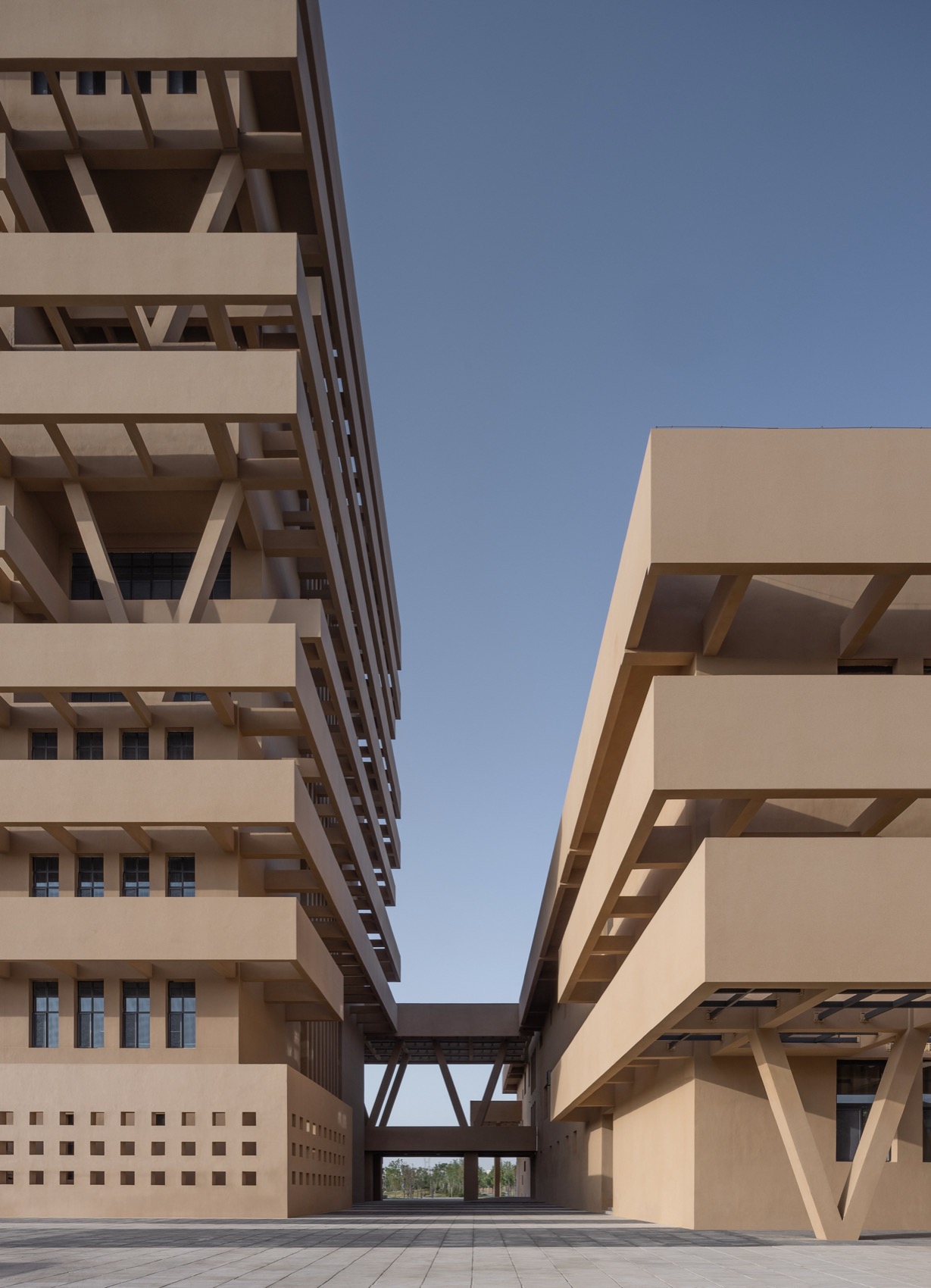 Information and Technology Building of Tarim University by China ...