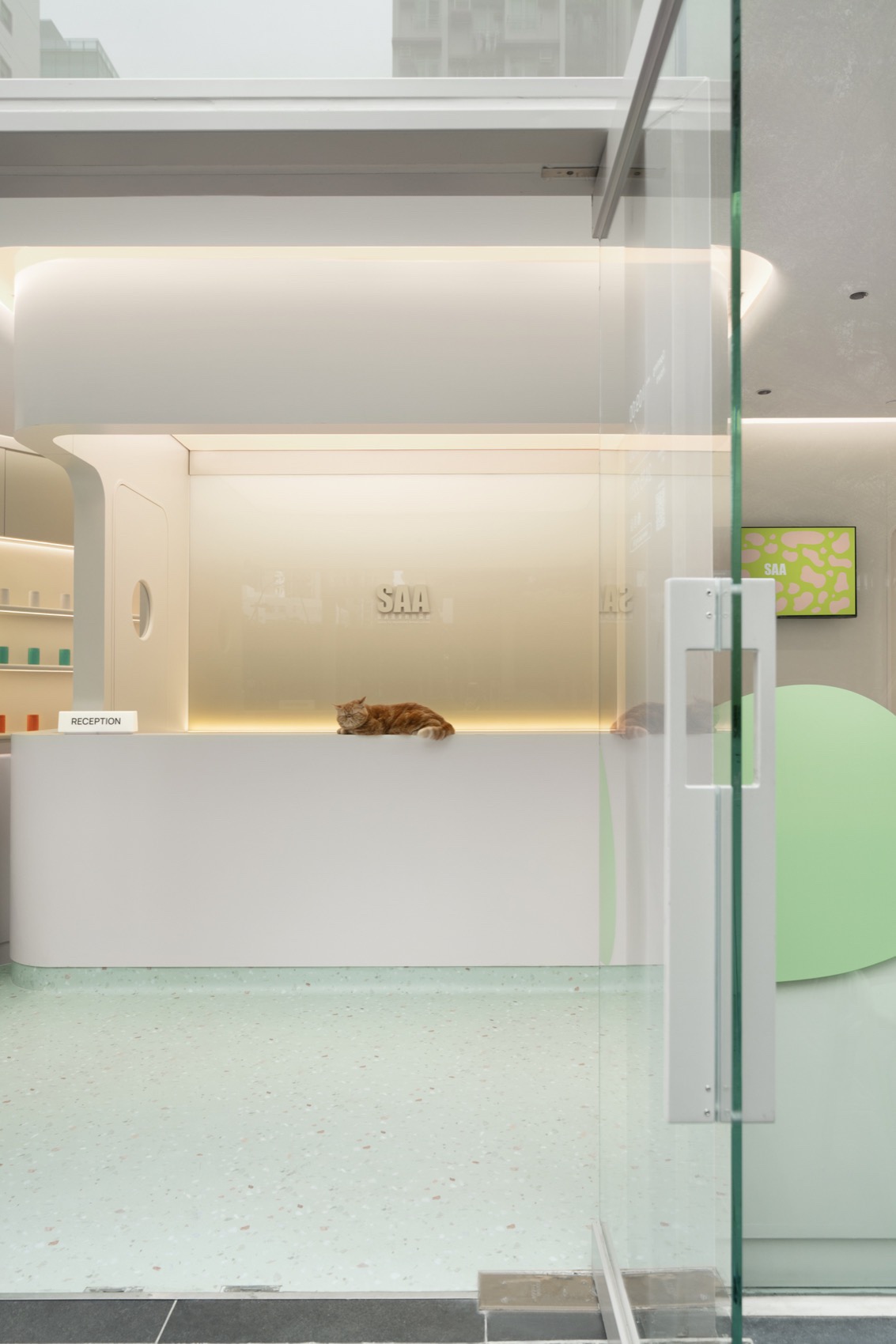 Hong Kong SAA Veterinary Centre by Karv One Design - 谷德设计网