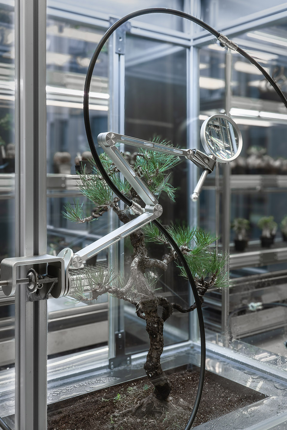 Future Laboratory of Botanists ——Nomadic Series 5.0 by Ruhaus Studio ...