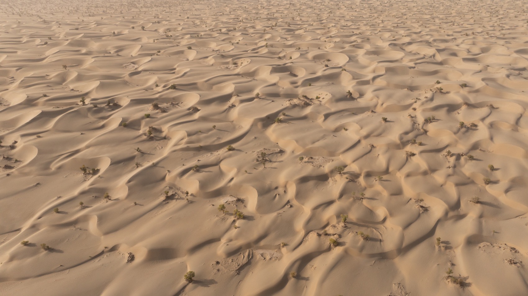 Information and Technology Building of Tarim University by China ...