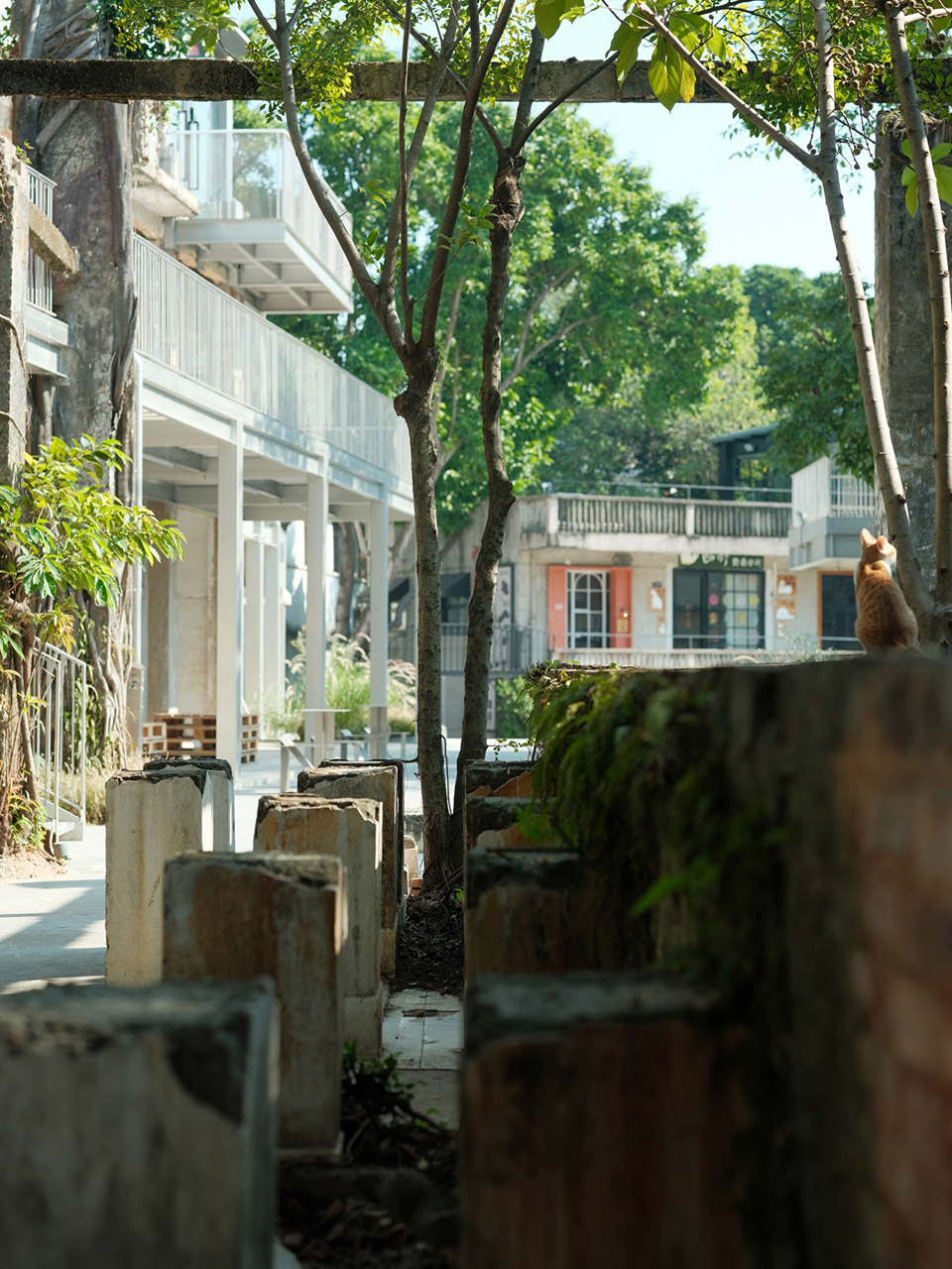 Wildness Promenade by BDSD Boundless Design - 谷德设计网