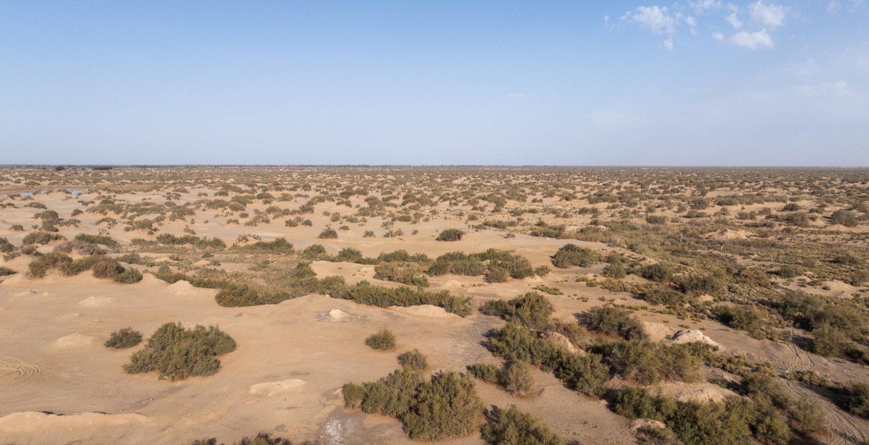 Information and Technology Building of Tarim University by China ...