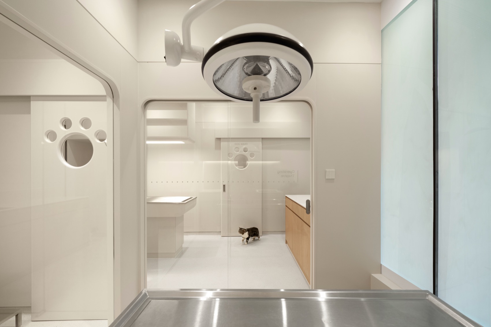 Hong Kong SAA Veterinary Centre by Karv One Design - 谷德设计网