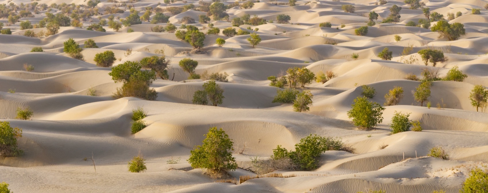 Information and Technology Building of Tarim University by China ...