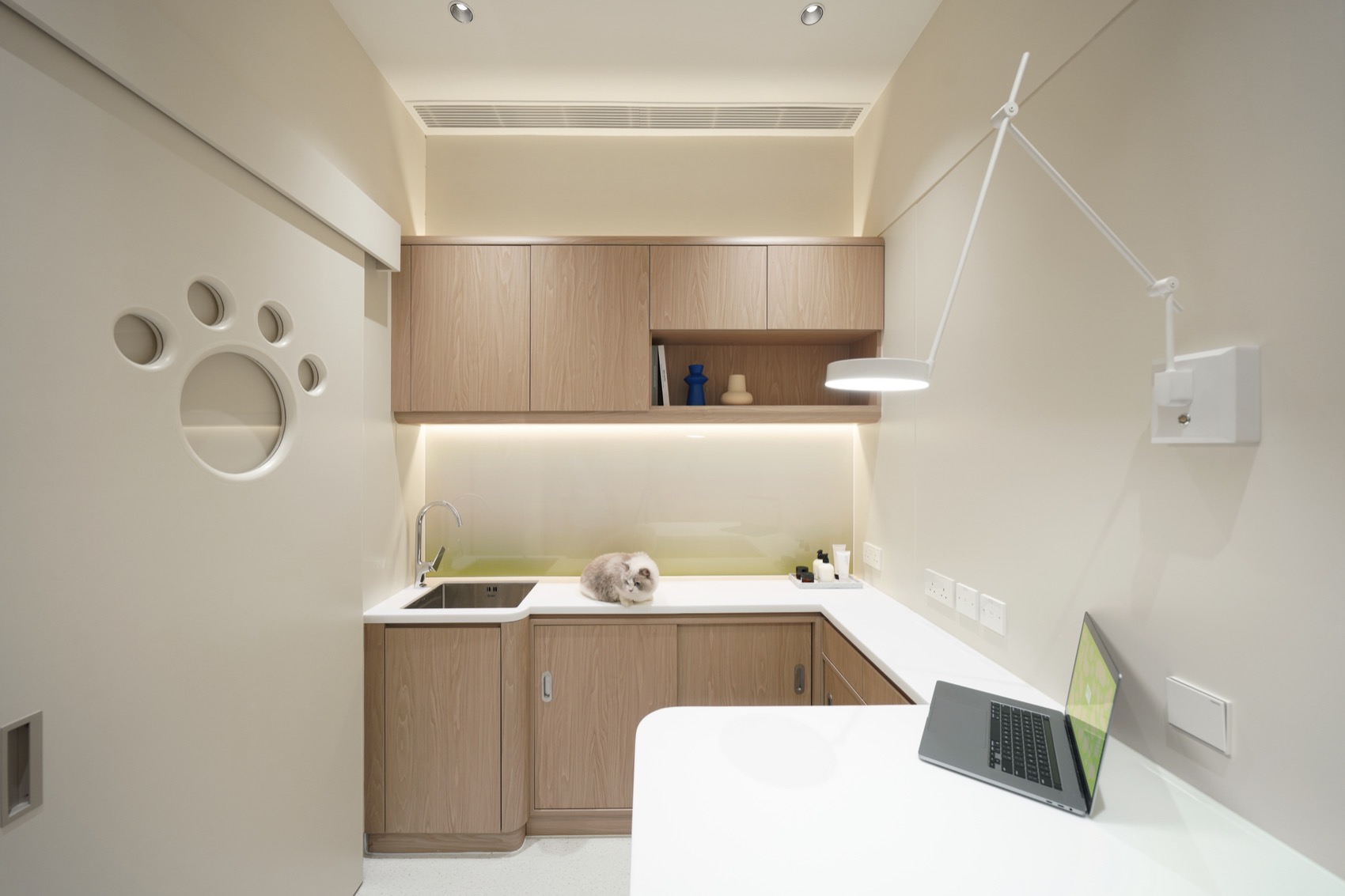 Hong Kong SAA Veterinary Centre by Karv One Design - 谷德设计网