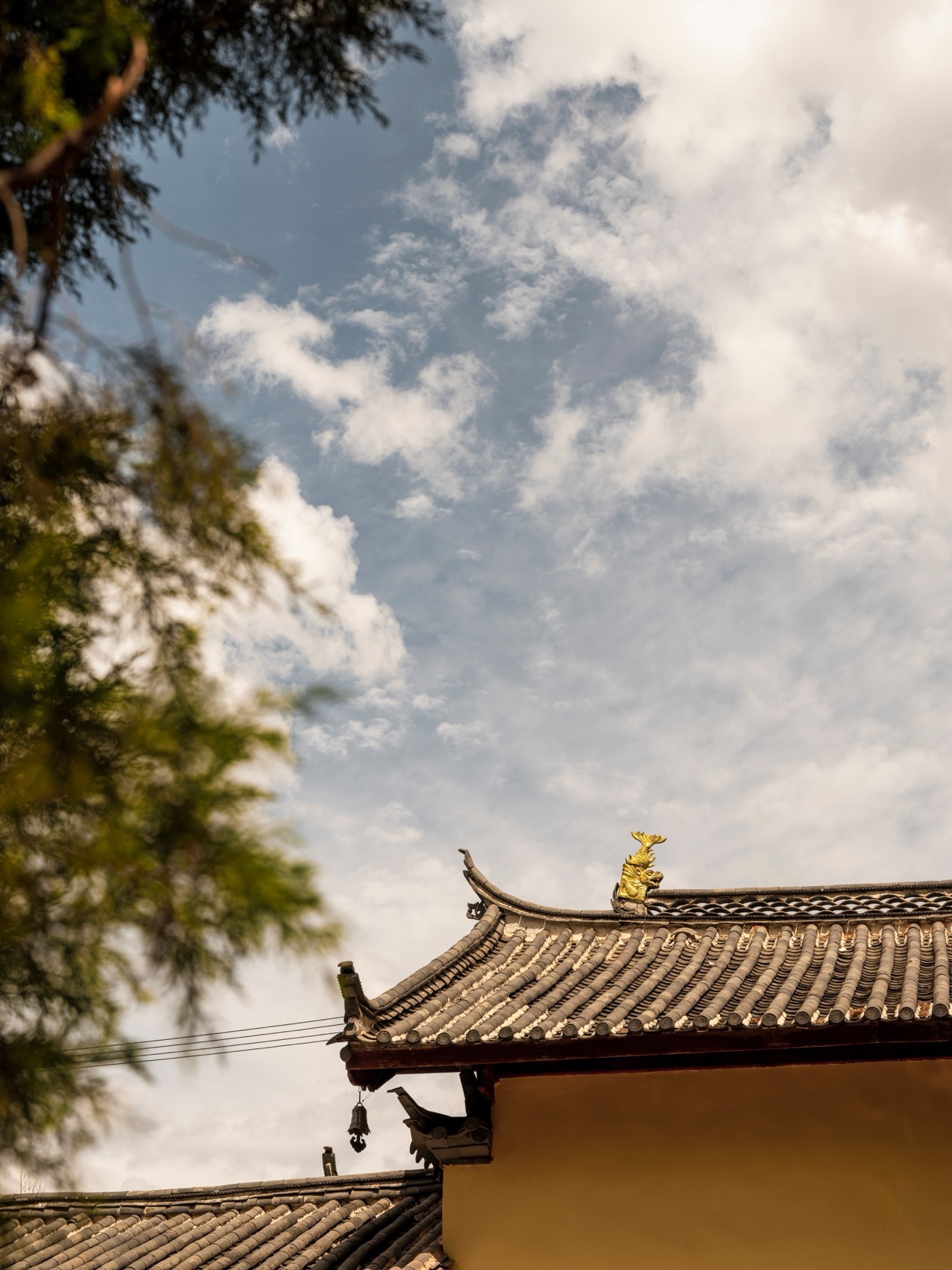 The Deep Green Hostel by Utien Architecture - 谷德设计网