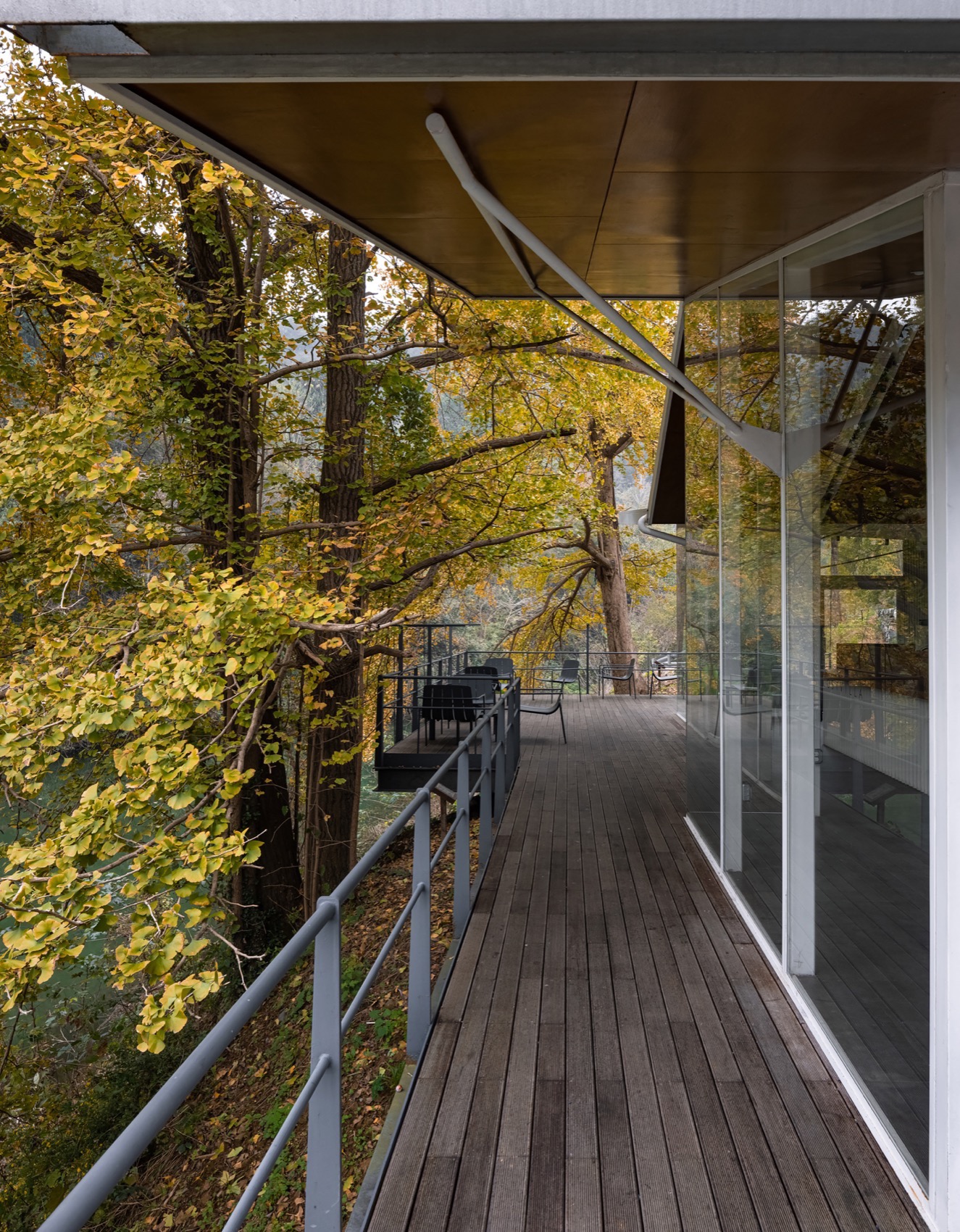 A Design Chronicle of Lost Villa · Ginkgo Valley by Moguang Studio - 谷德设计网
