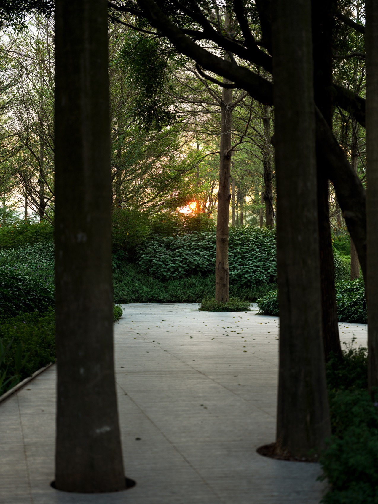 Shunde Yunlu Wetland Pavilion Landscape Design by Change Studio - 谷德设计网