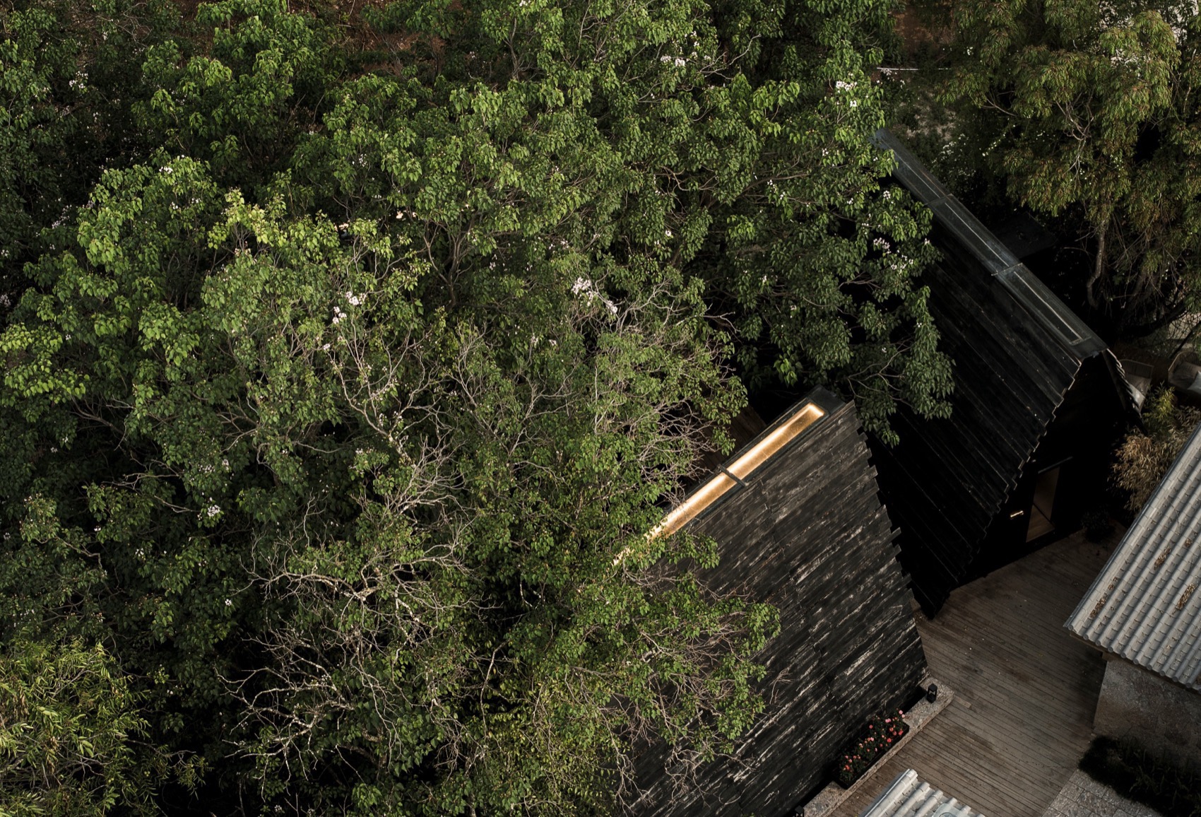 The Deep Green Hostel by Utien Architecture - 谷德设计网