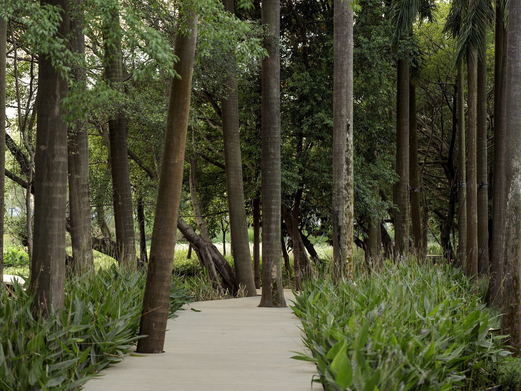 Shunde Yunlu Wetland Pavilion Landscape Design by Change Studio - 谷德设计网