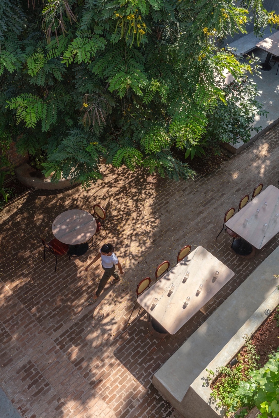 Telugu Medium by Sona Reddy Studio - 谷德设计网