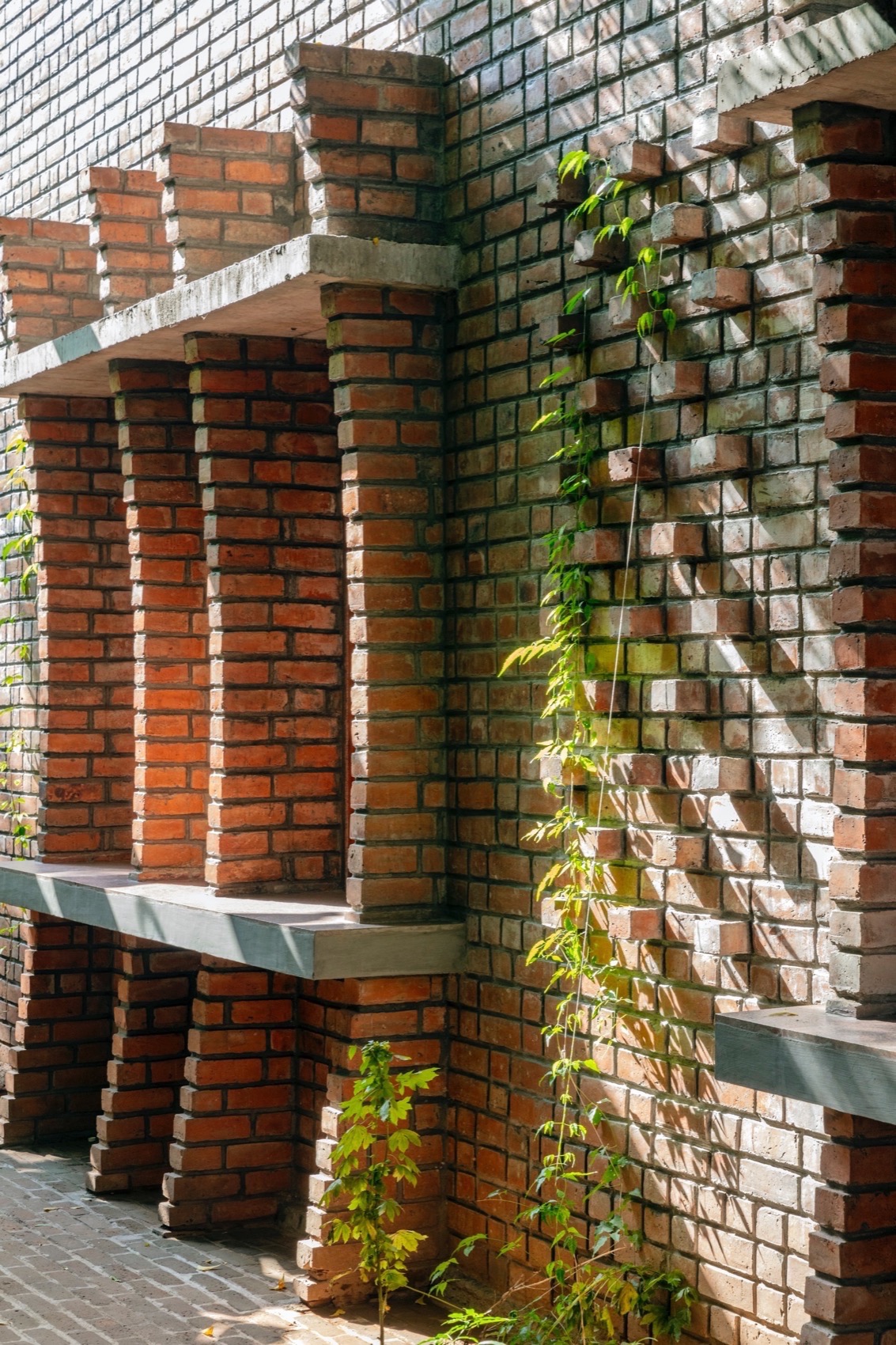 Telugu Medium by Sona Reddy Studio - 谷德设计网