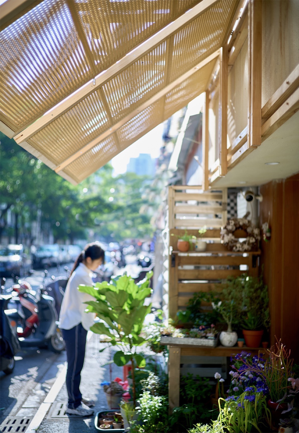 Li Eaves – The storefront renewral design for a flower and plants shop ...
