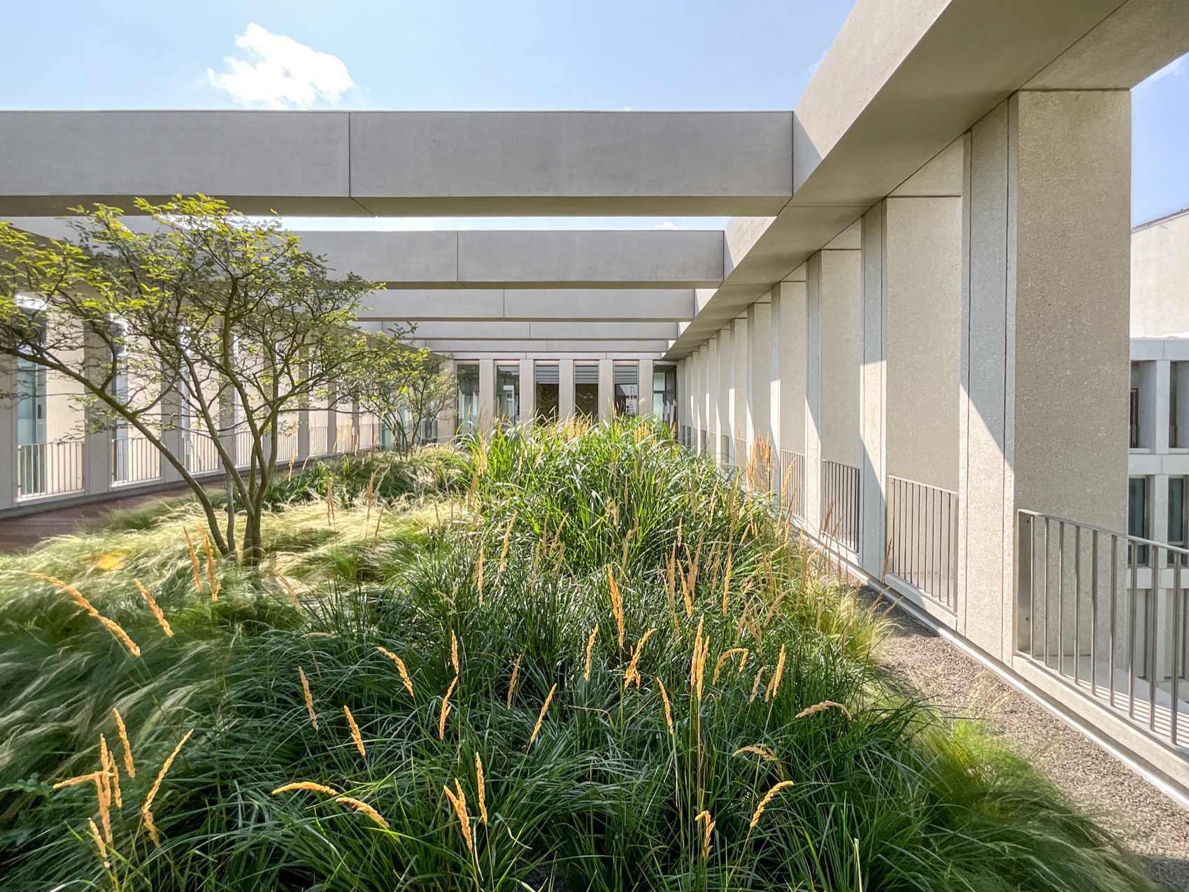 Polish Embassy in Berlin by JEMS Architekci - 谷德设计网