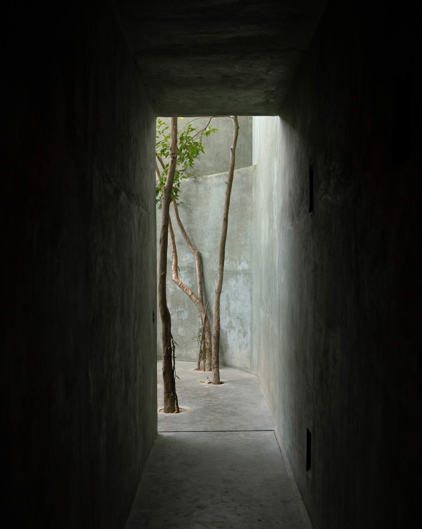 CASA GRUTA by Salvador Román Hernández + Adela Mortéra Villarreal - 谷德设计网