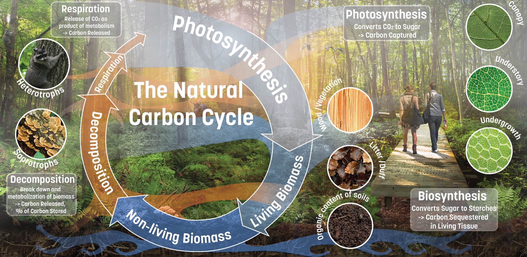 2024 ASLA Research Award Of Excellence: Designing with a Carbon Conscience by Sasaki - 谷德设计网