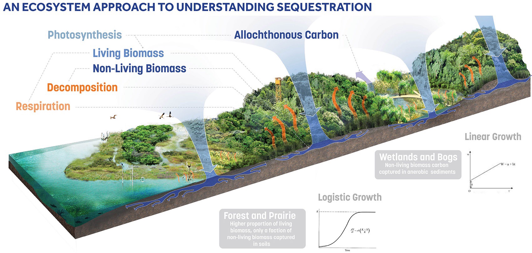 2024 ASLA Research Award Of Excellence: Designing with a Carbon Conscience by Sasaki - 谷德设计网