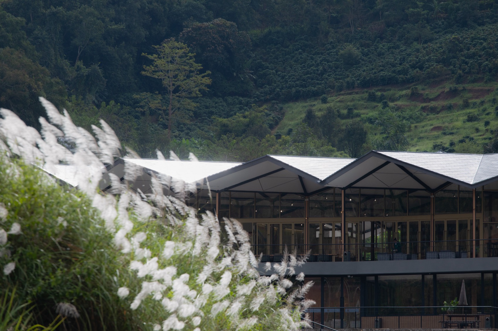 Pu’er Beautiful Star Village Coffee Center by Studio Dali Architects ...