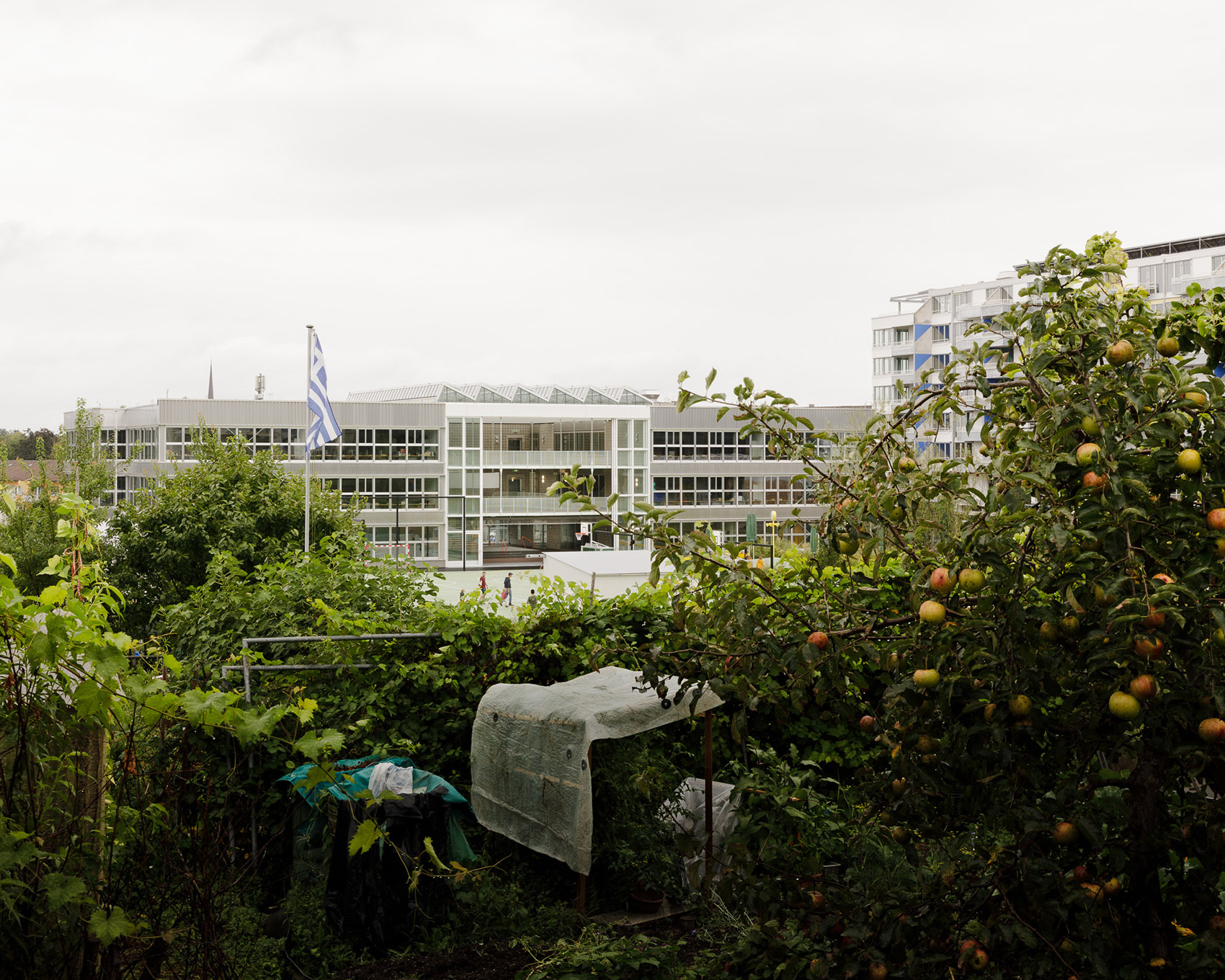 Primary School Guggach by Weyell Zipse Architekten - 谷德设计网