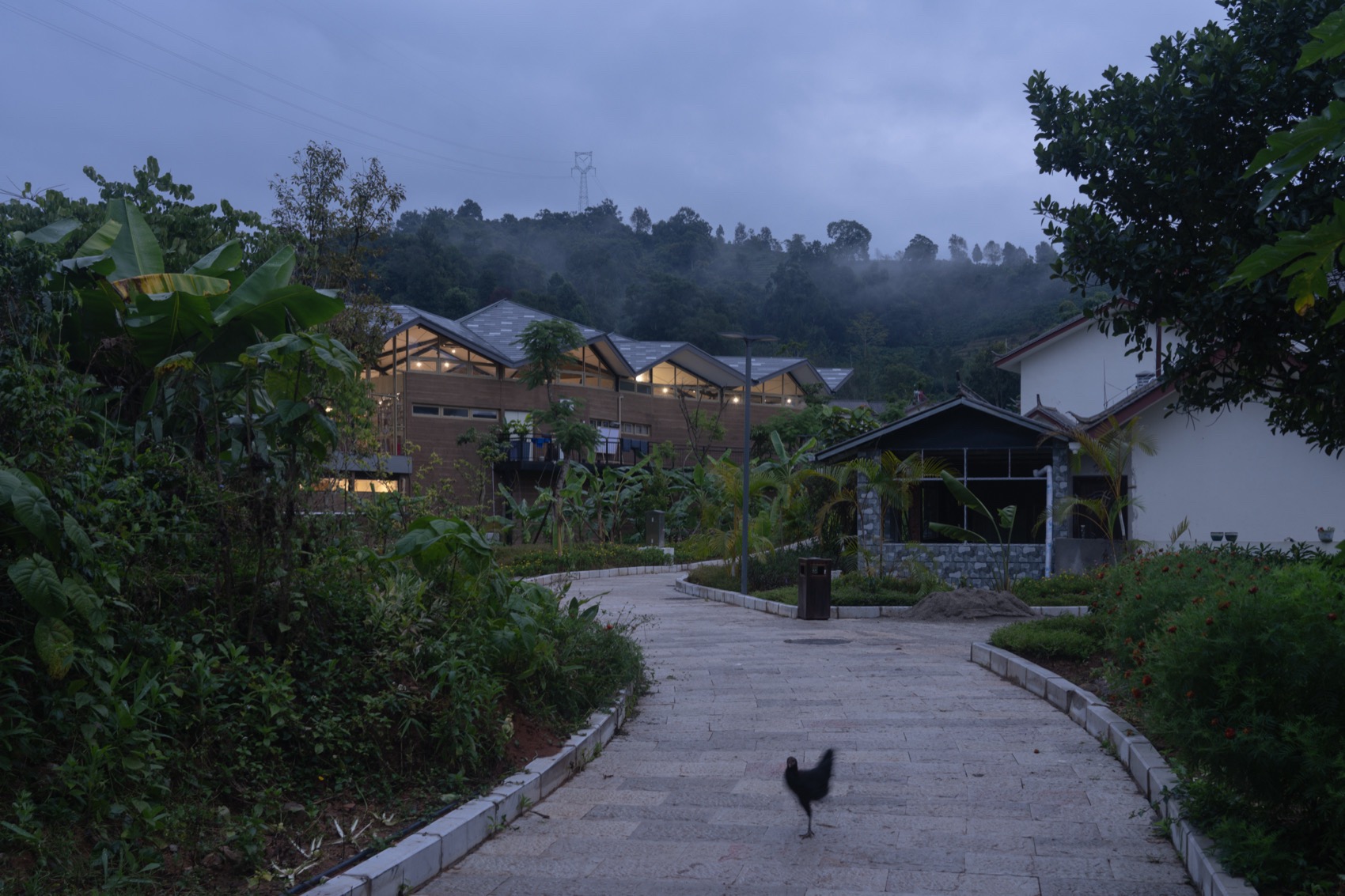 Pu’er Beautiful Star Village Coffee Center by Studio Dali Architects ...