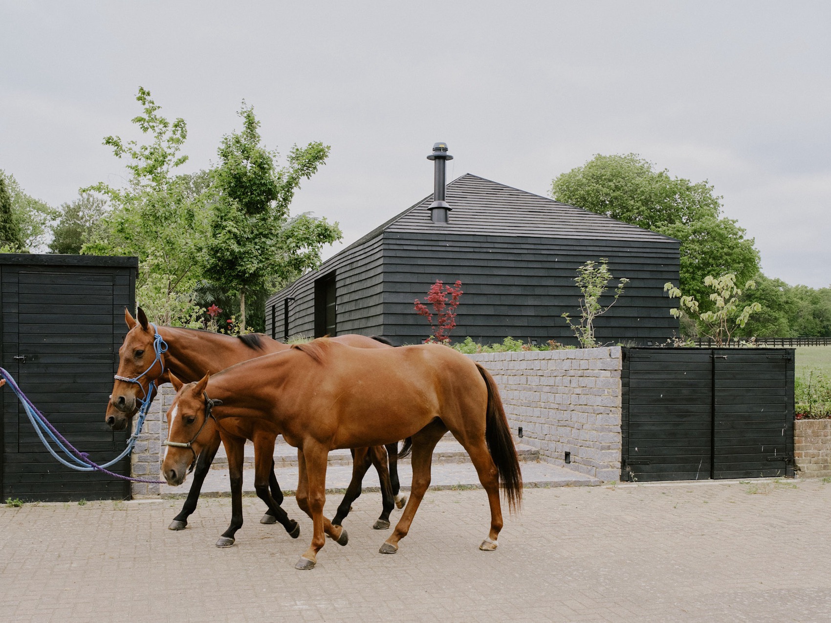 The ARC Polo farm by DROO - 谷德设计网