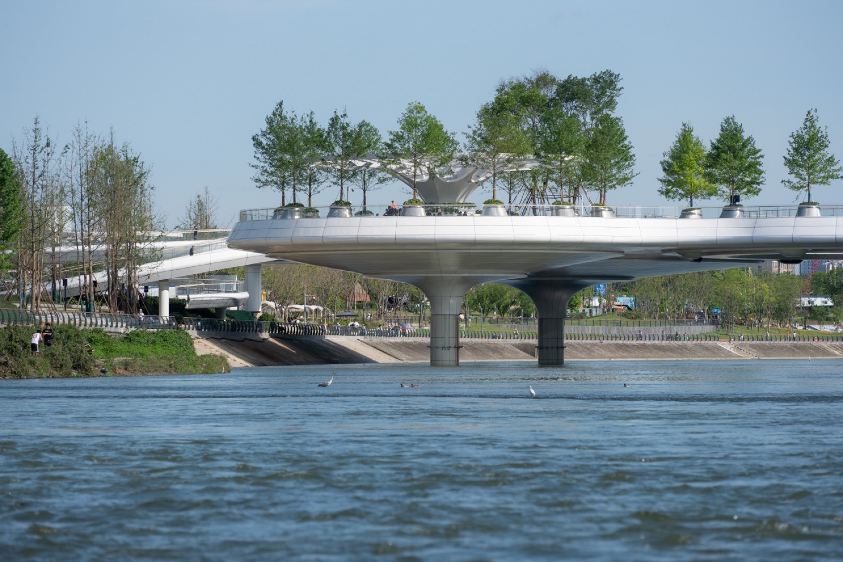 Landscape Design of the Jiaozi Pedestrian Bridge Park in Chengdu by ...