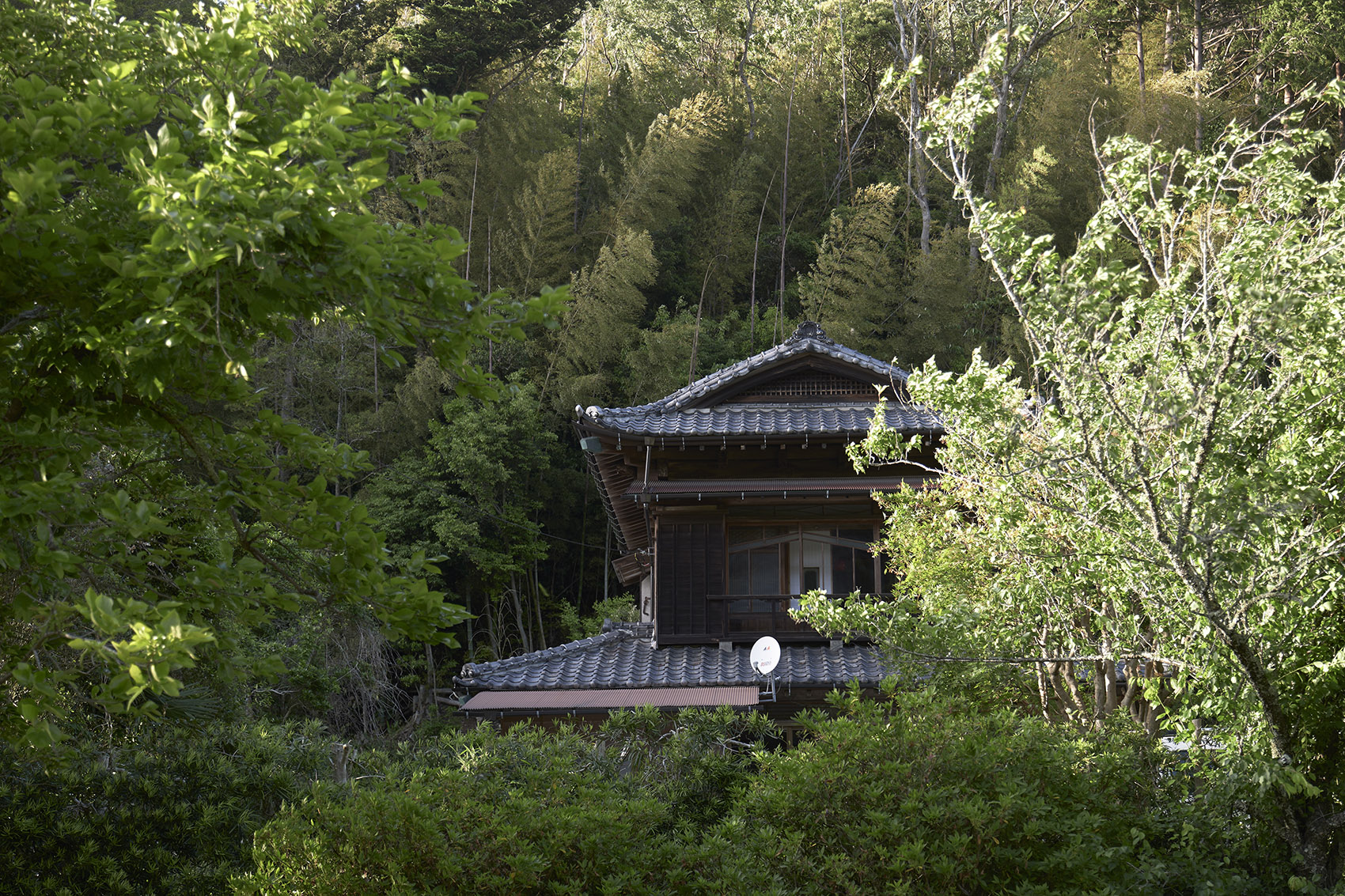 Renovation of a 1960s Wooden House in Kimitsu by ROOVICE - 谷德设计网