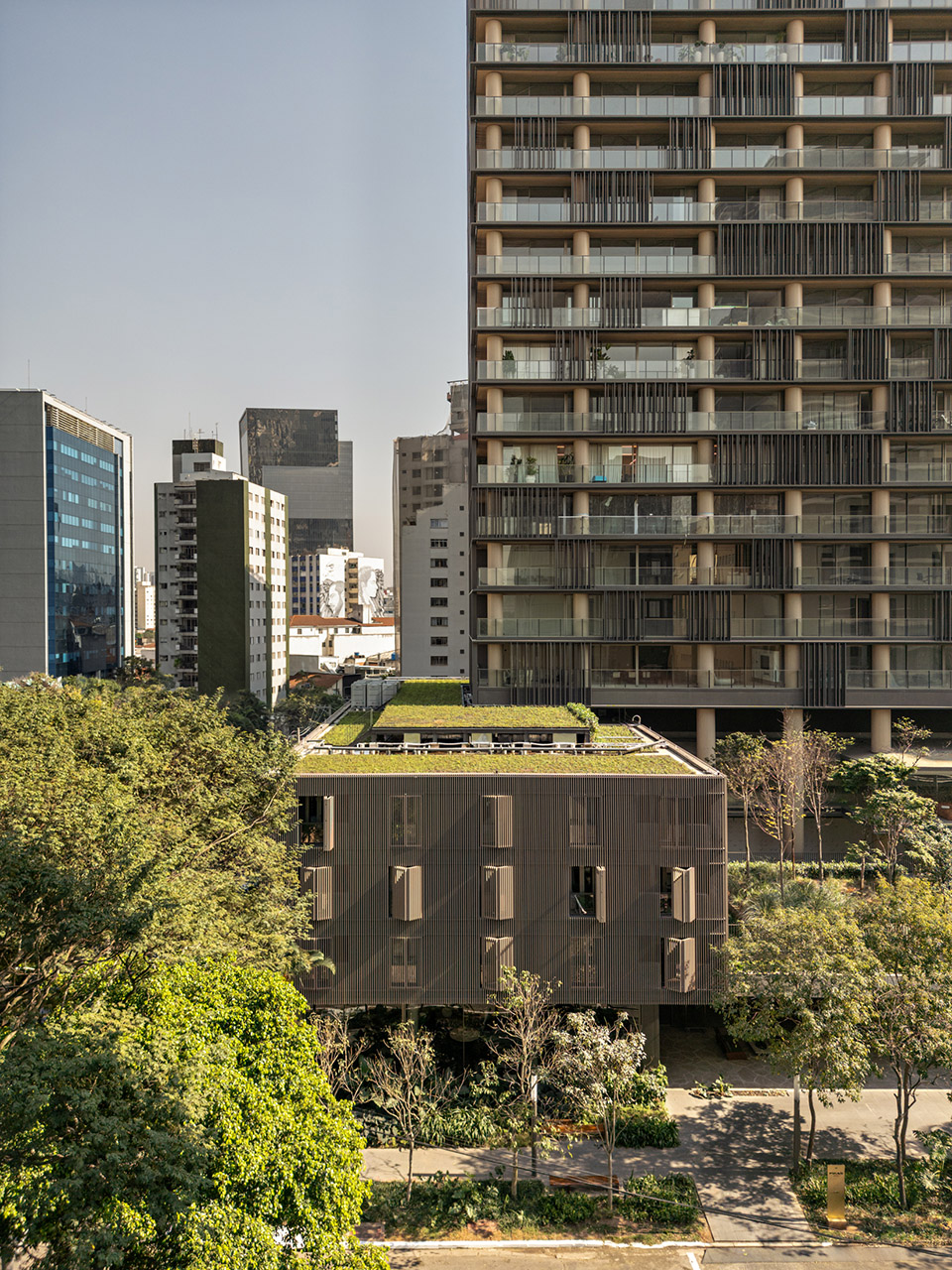 Praça Henrique Monteiro by Arthur Casas - 谷德设计网