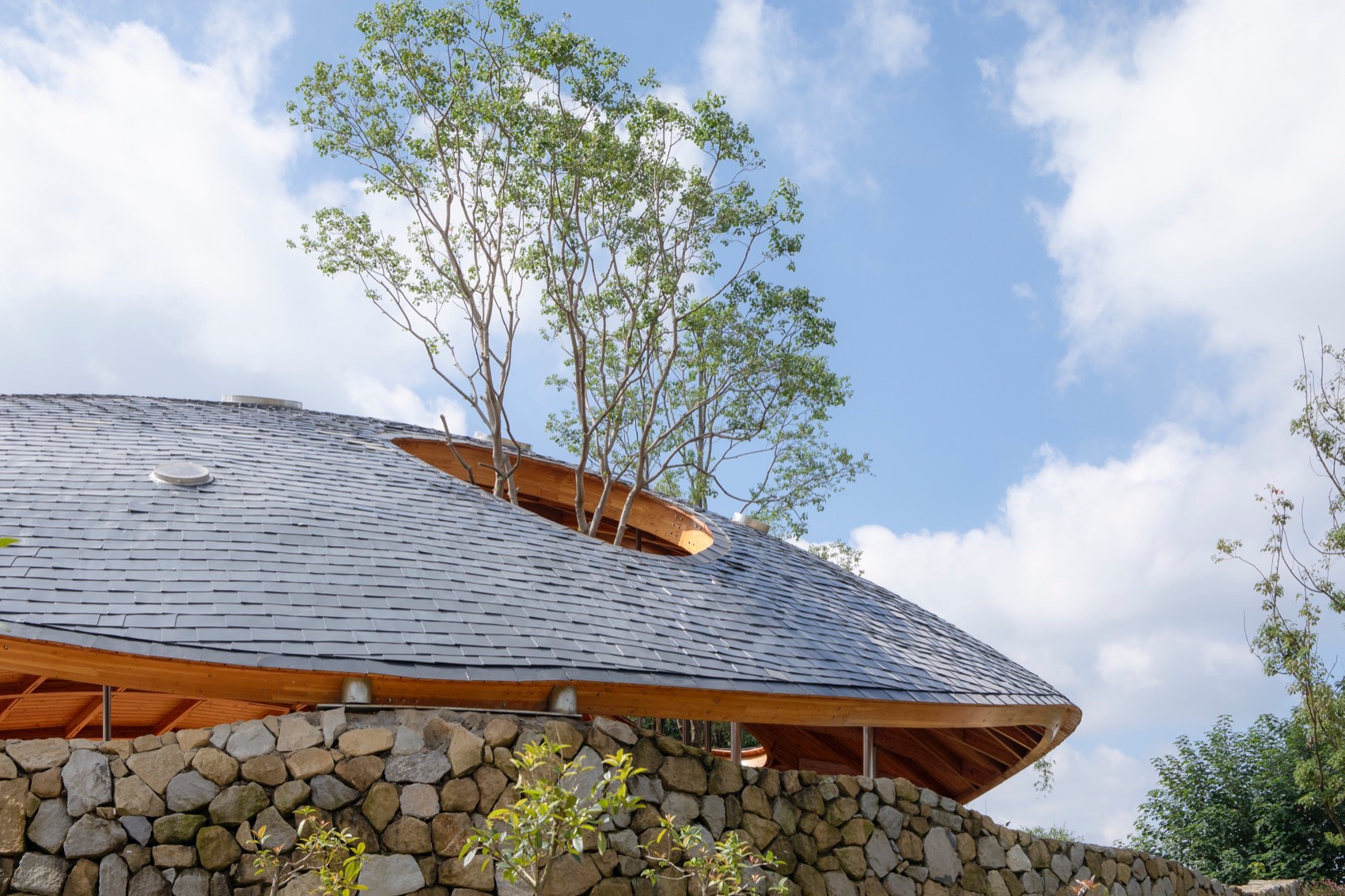 Heilongtan Dome Music Hall by Studio Dali Architects - 谷德设计网