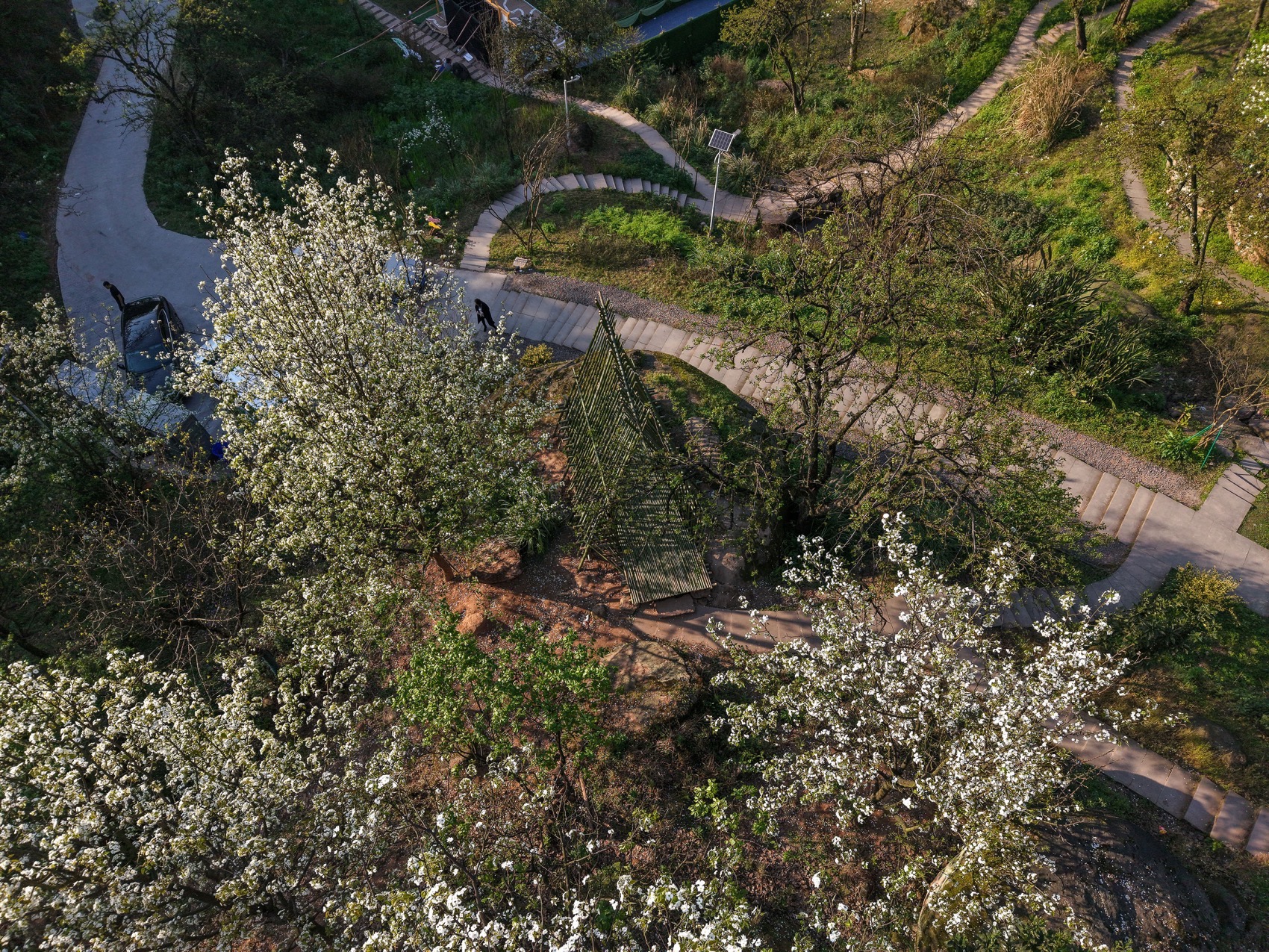 Field Project — Petal Pavilion: BUZZY SUNNY in Pear Blossom Village by ...