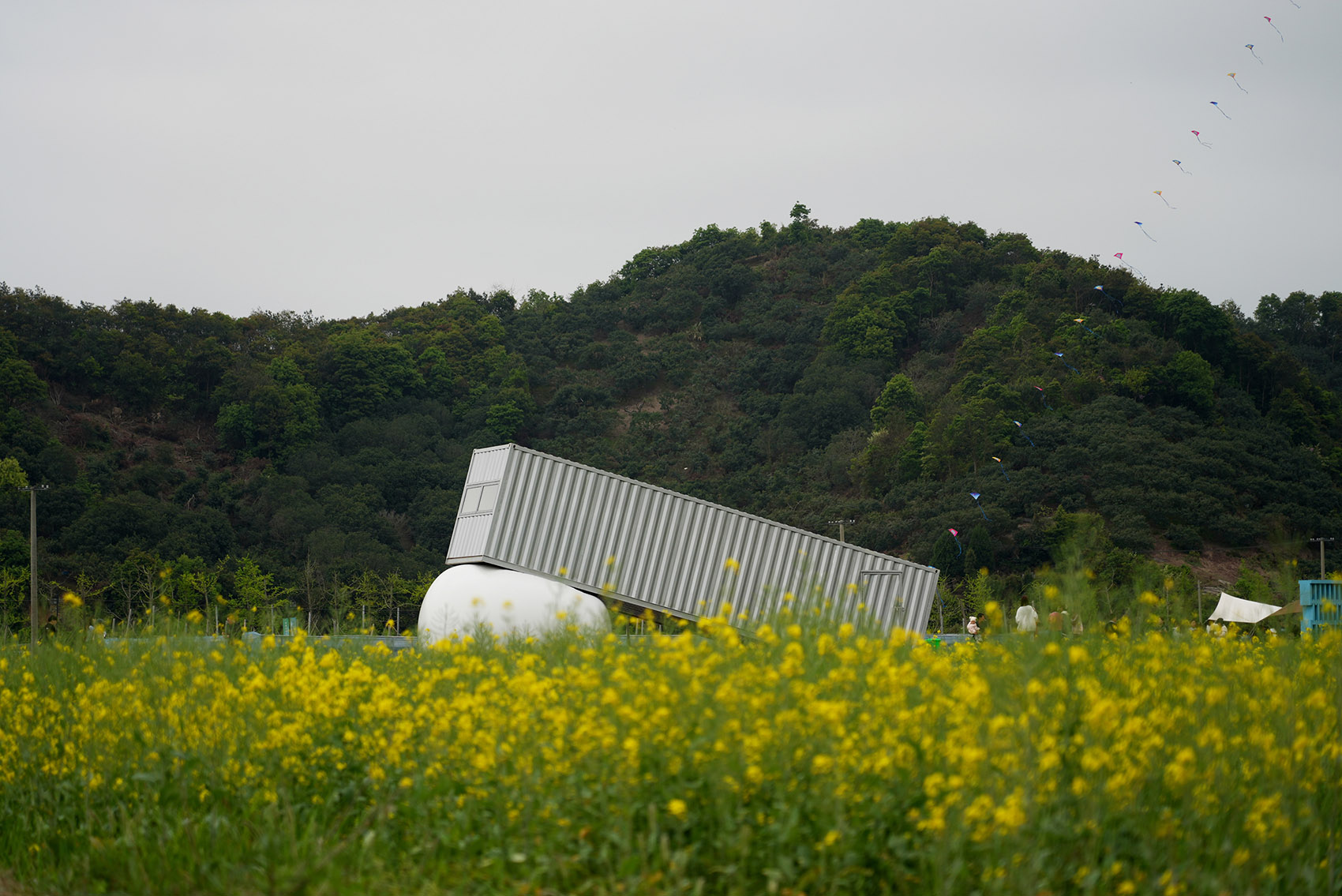 ‘Down in the Clouds’Farm Field Renovation by Practice on earth + Increments Studio - 谷德设计网