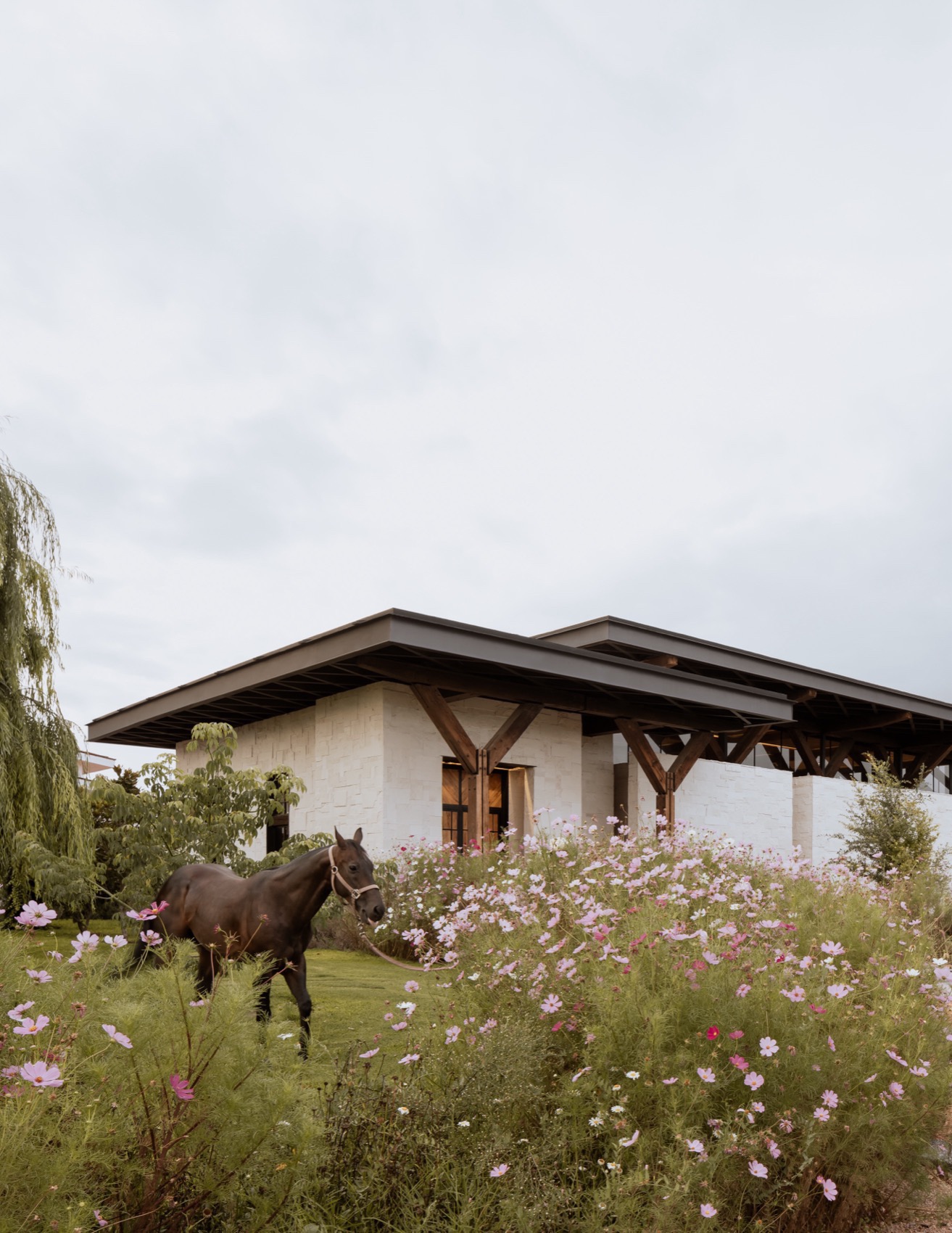 ”El Fraile” Ranch House by Heryco - 谷德设计网