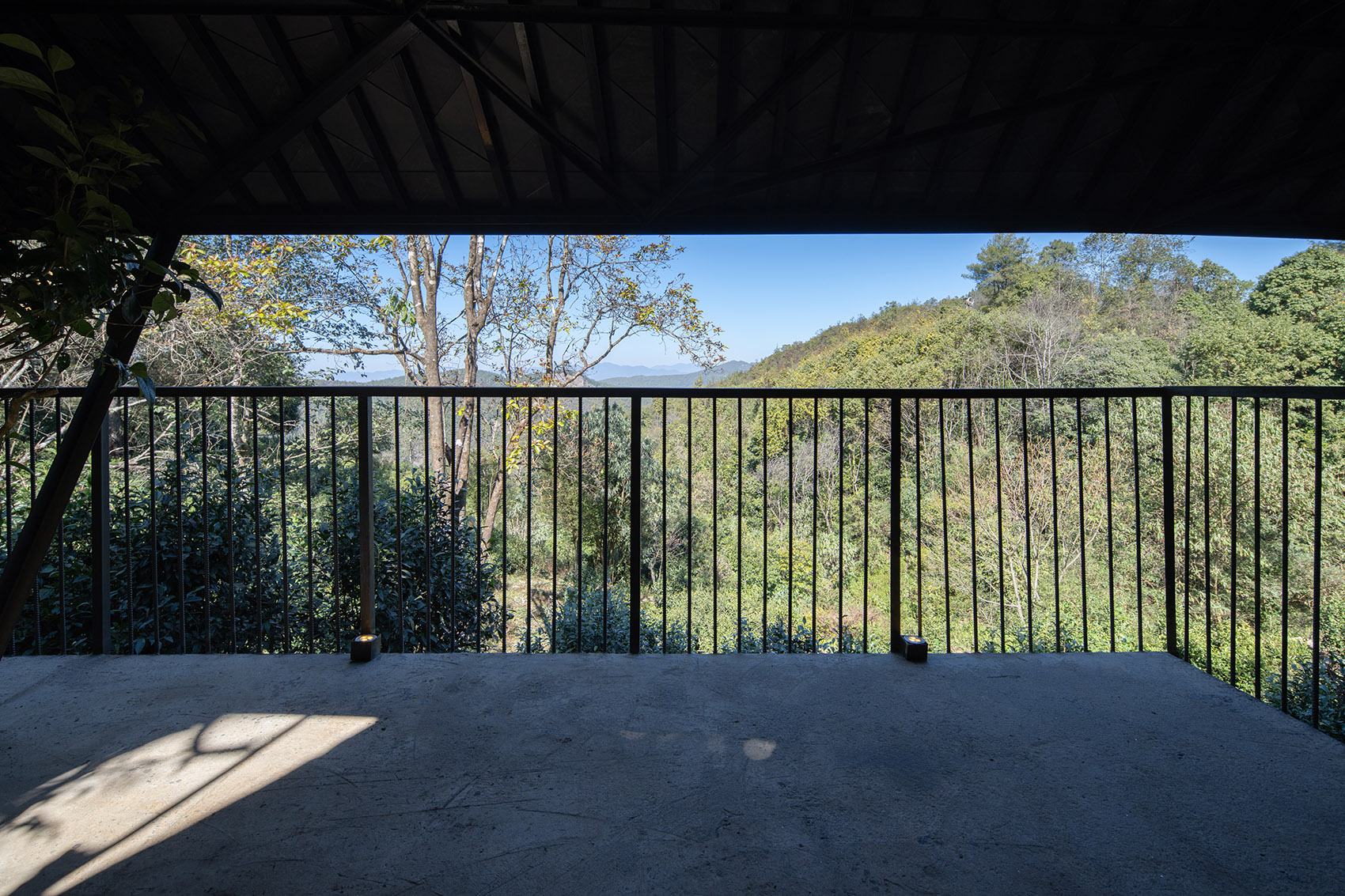 Blending into the Mountain Forest — Scenic Restroom in Yunnan’s Dali ...