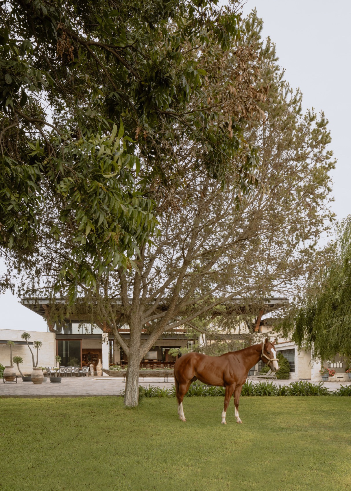 ”El Fraile” Ranch House by Heryco - 谷德设计网
