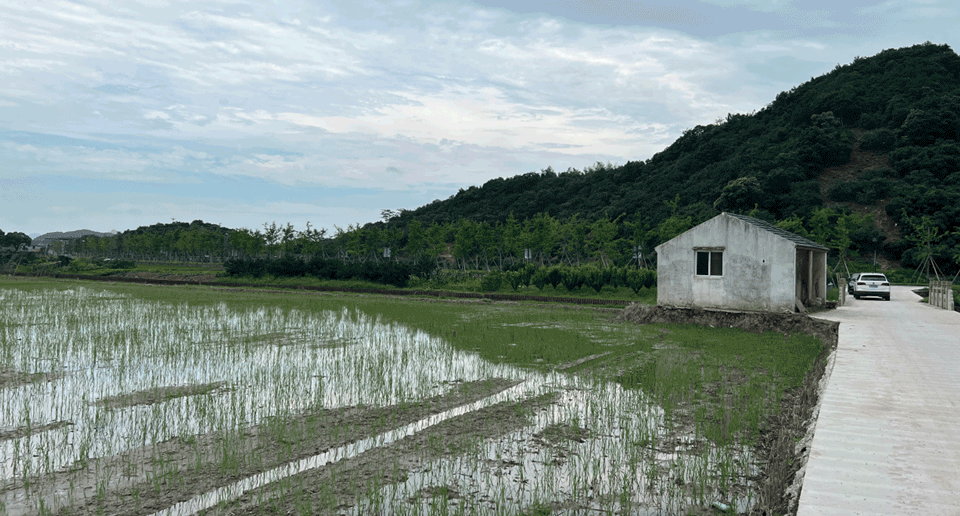 ‘Down in the Clouds’Farm Field Renovation by Practice on earth + Increments Studio - 谷德设计网