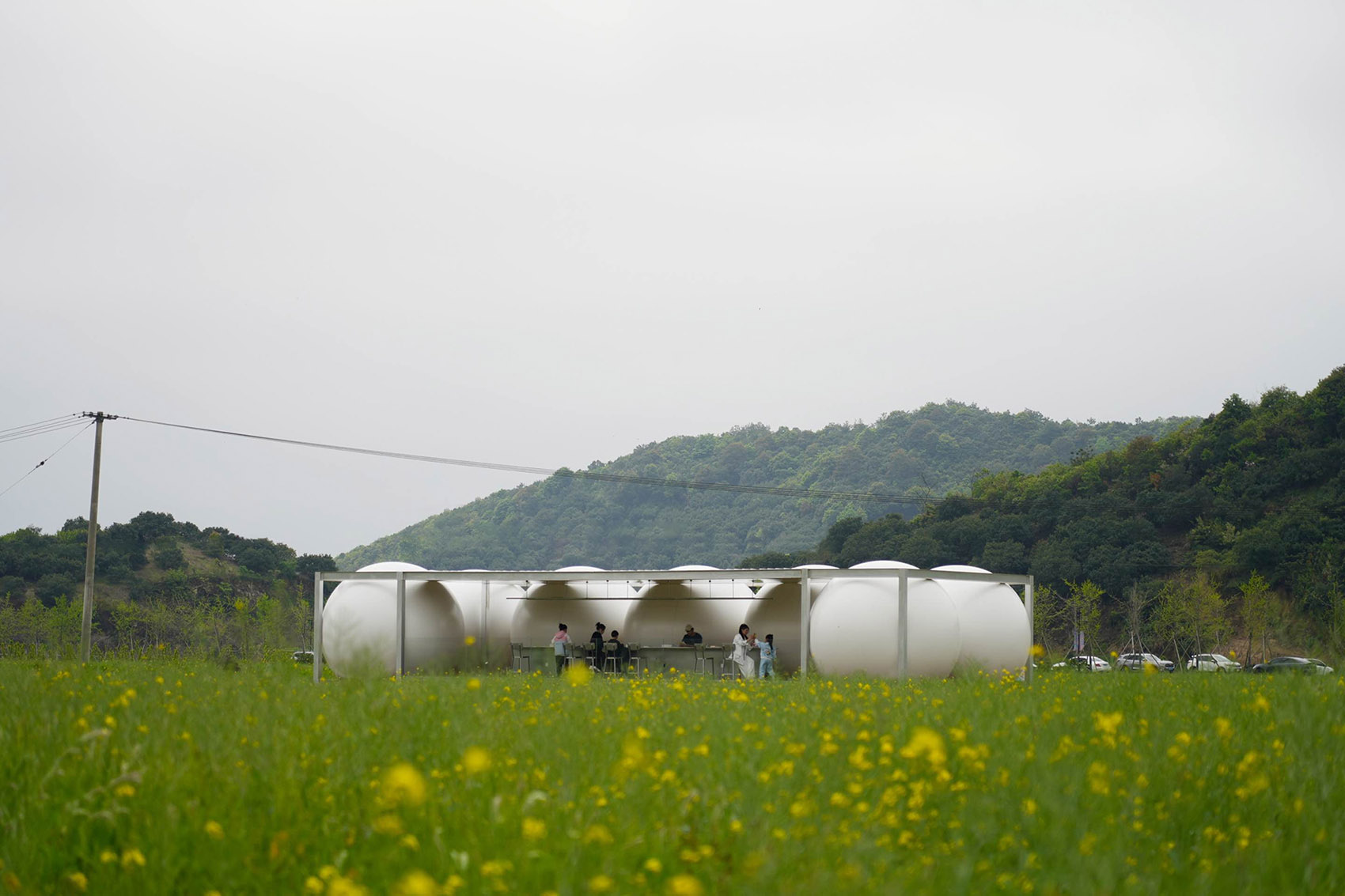 ‘Down in the Clouds’Farm Field Renovation by Practice on earth + Increments Studio - 谷德设计网
